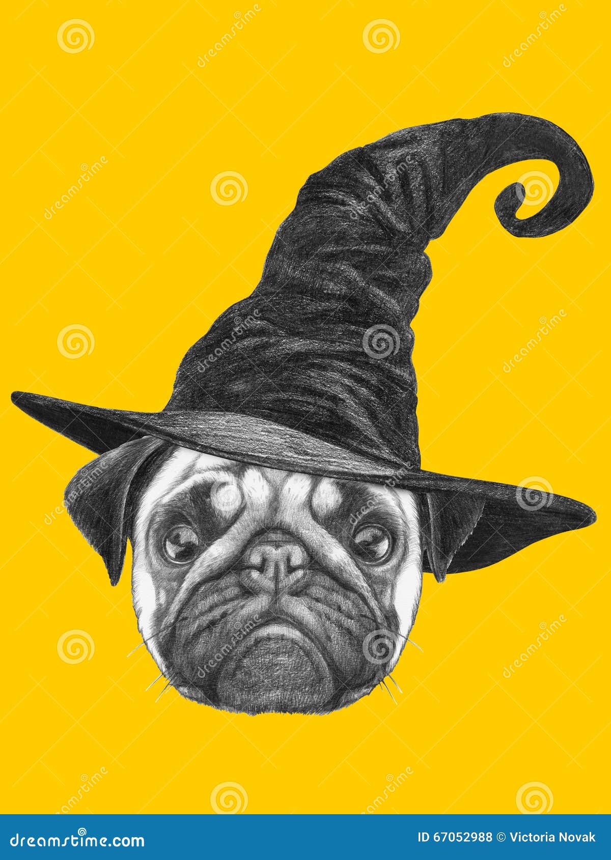 Portrait of Pug Dog with Witch Hat. Stock Illustration - Illustration ...