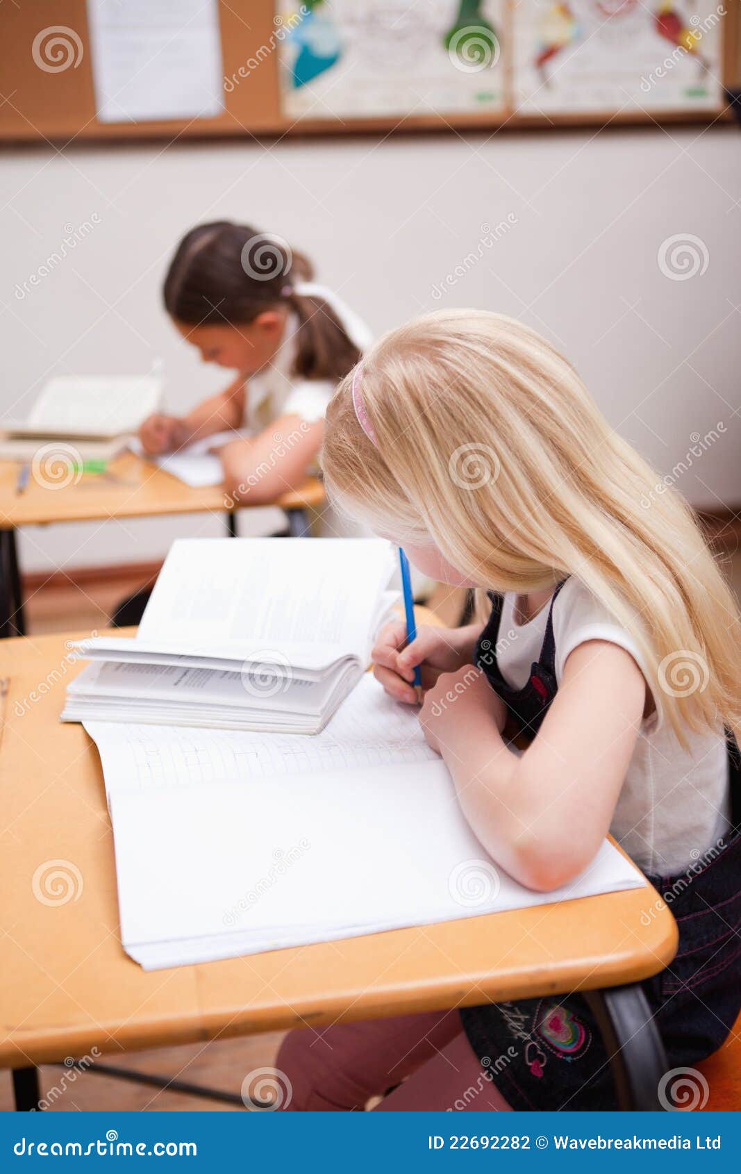 Portrait of pupils working stock photo. Image of girl - 22692282