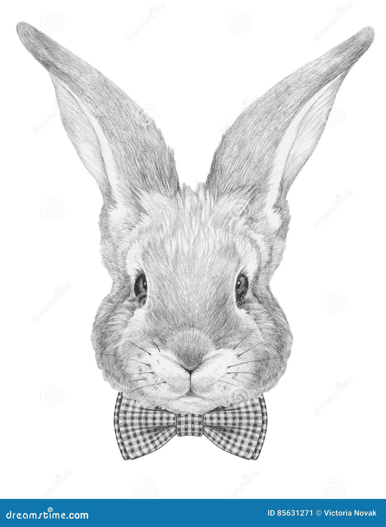 Portrait of Rabbit with Bow Tie. Stock Illustration - Illustration of ...