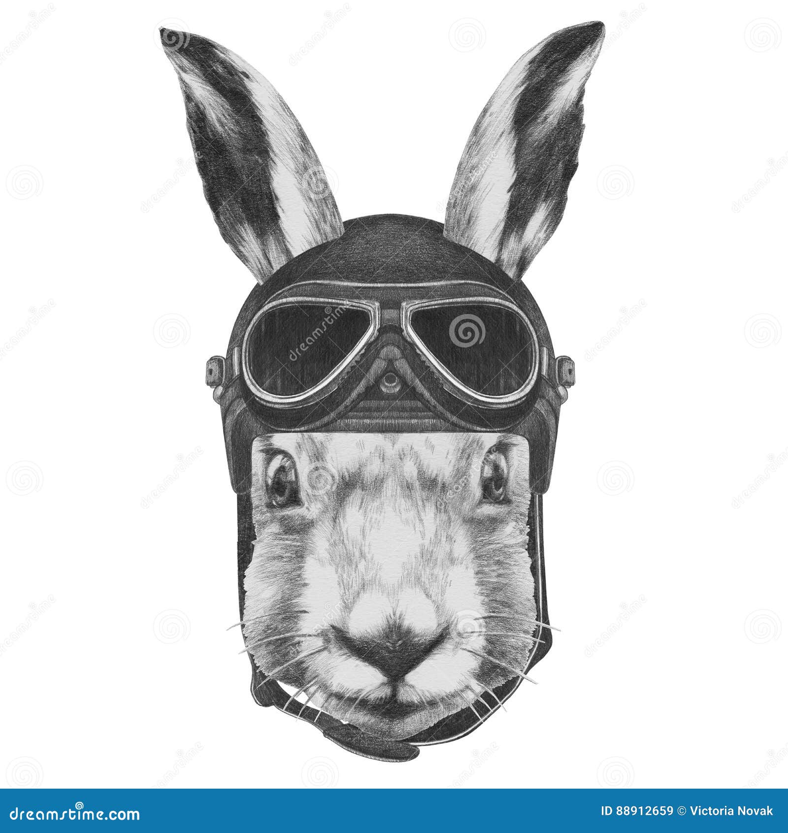 Portrait of Rabbit with Helmet. Stock Illustration - Illustration of ...