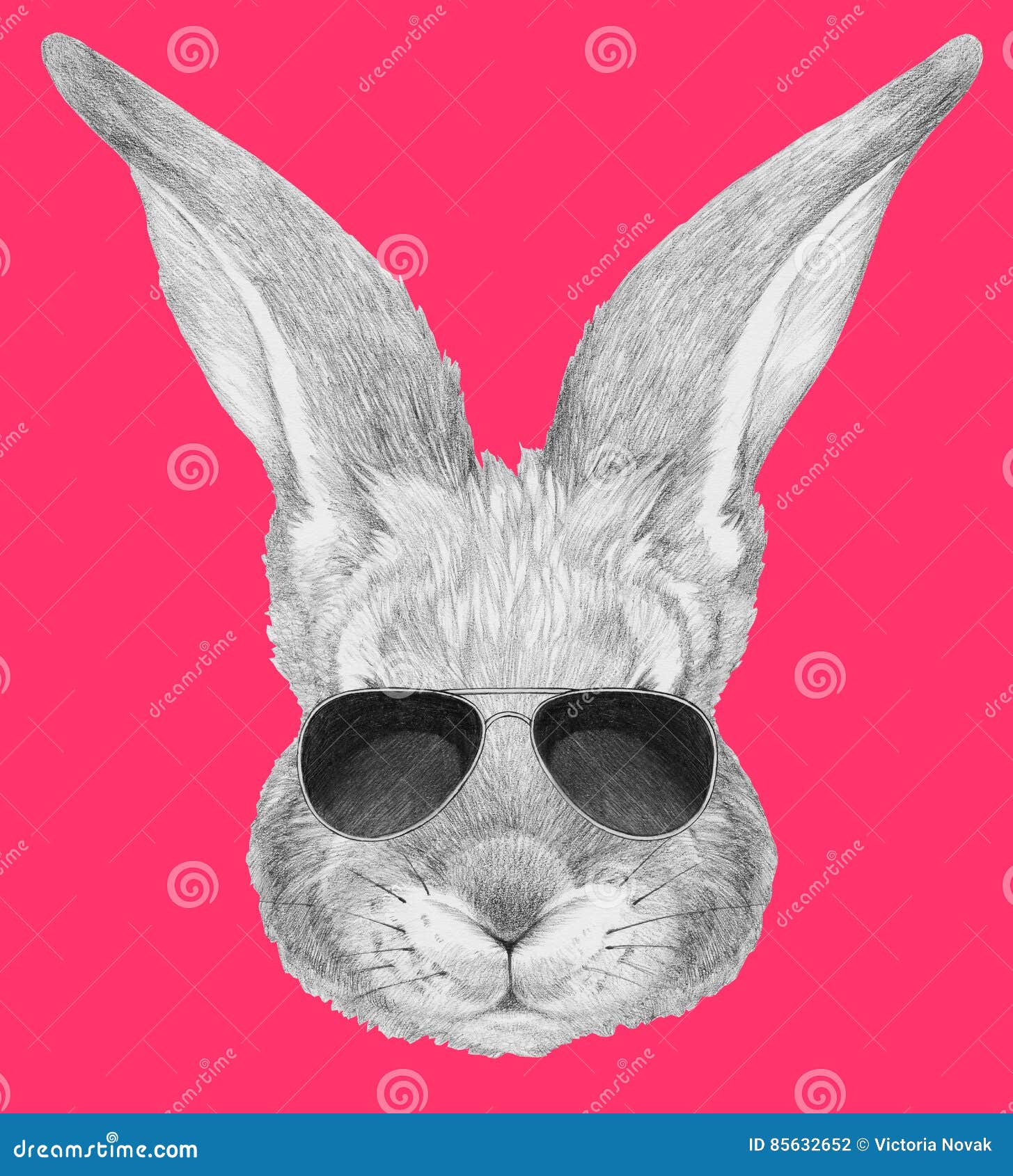 Portrait of Rabbit with Sunglasses. Stock Illustration - Illustration ...