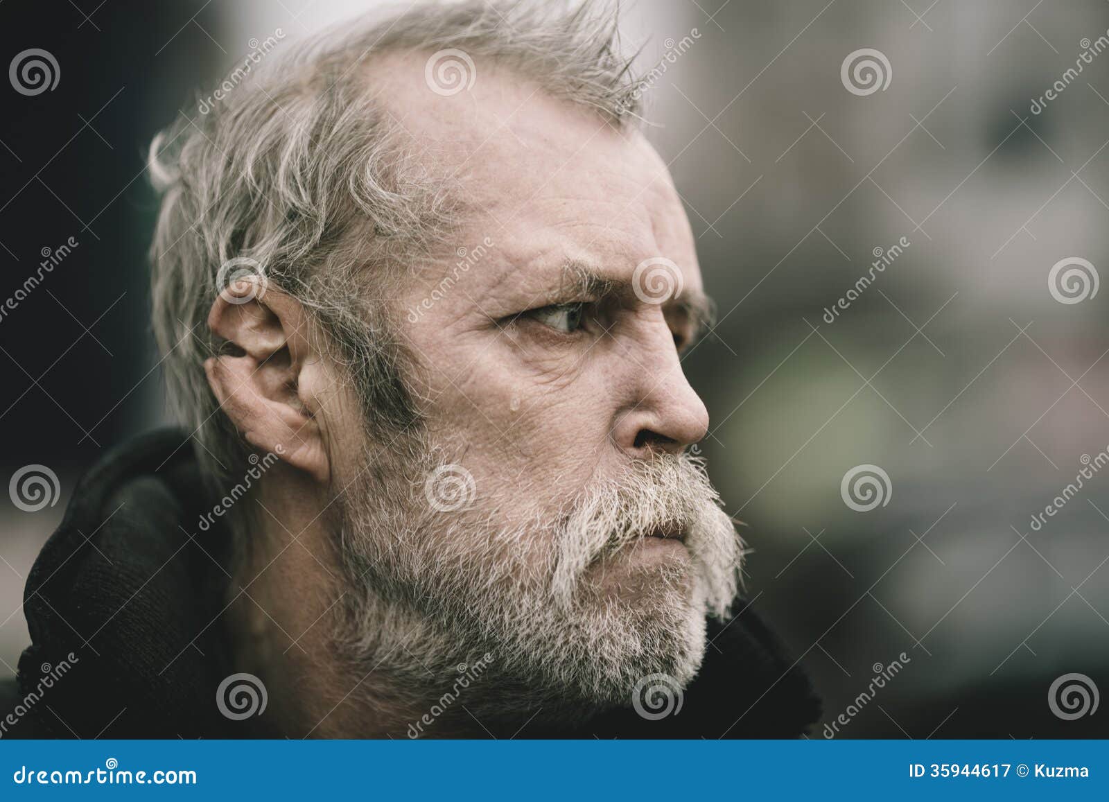 Portrait of Real Hobo with Tear Stock Image - Image of begging, adult ...
