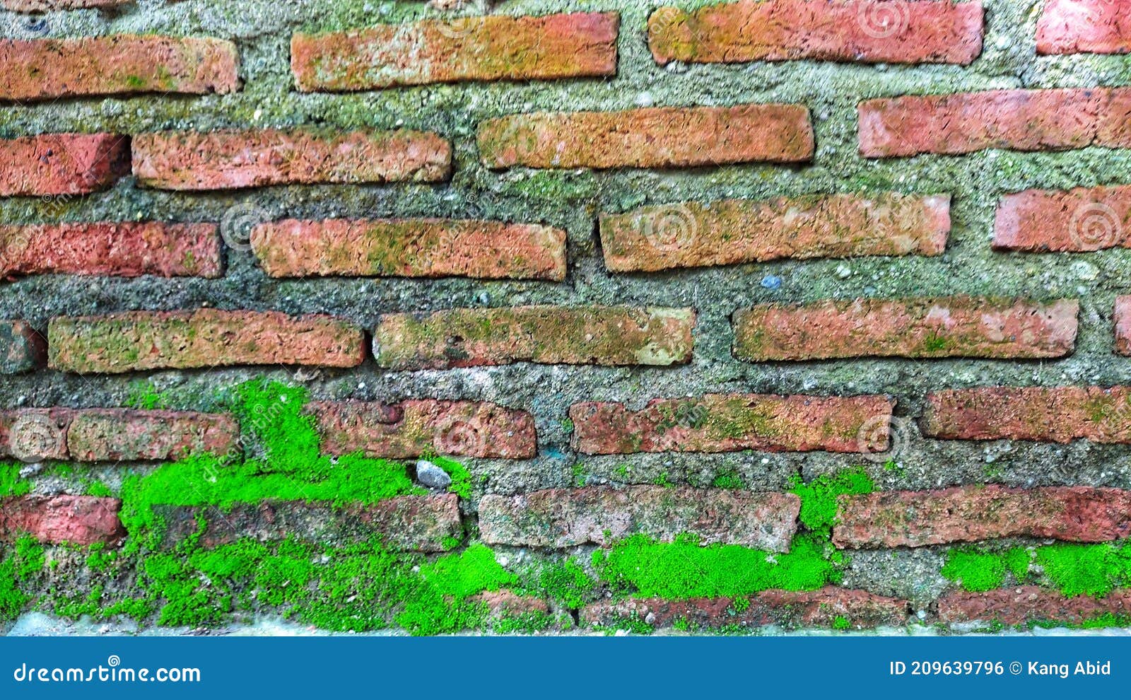 Portrait of a Red Brick Wall that is Getting Rotten Due To Overgrowth ...
