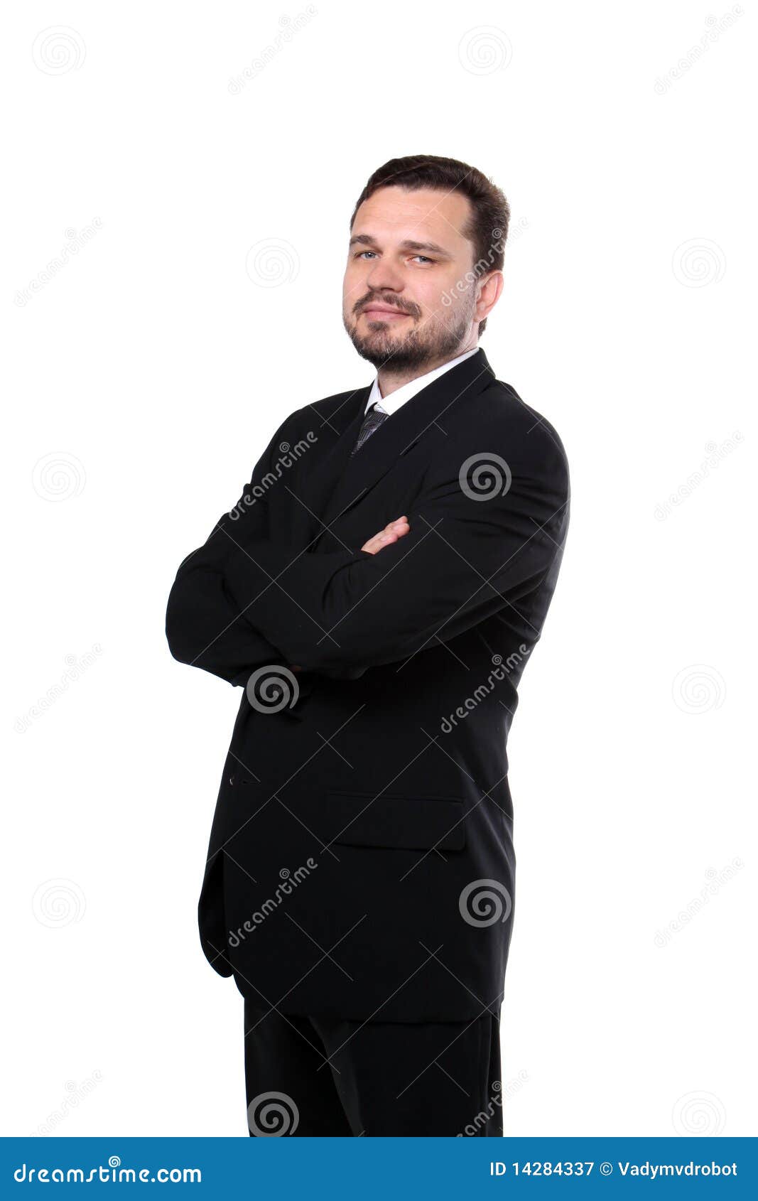 Portrait of a Representative Business Man Stock Image - Image of office ...