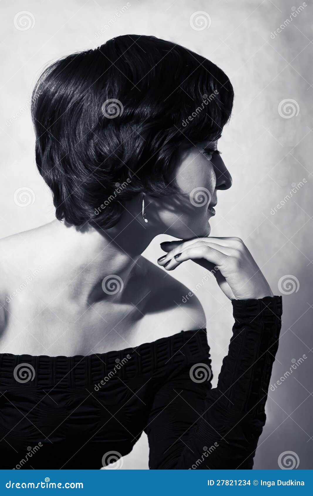 Portrait in retro style. stock photo. Image of hair, elegance - 27821234