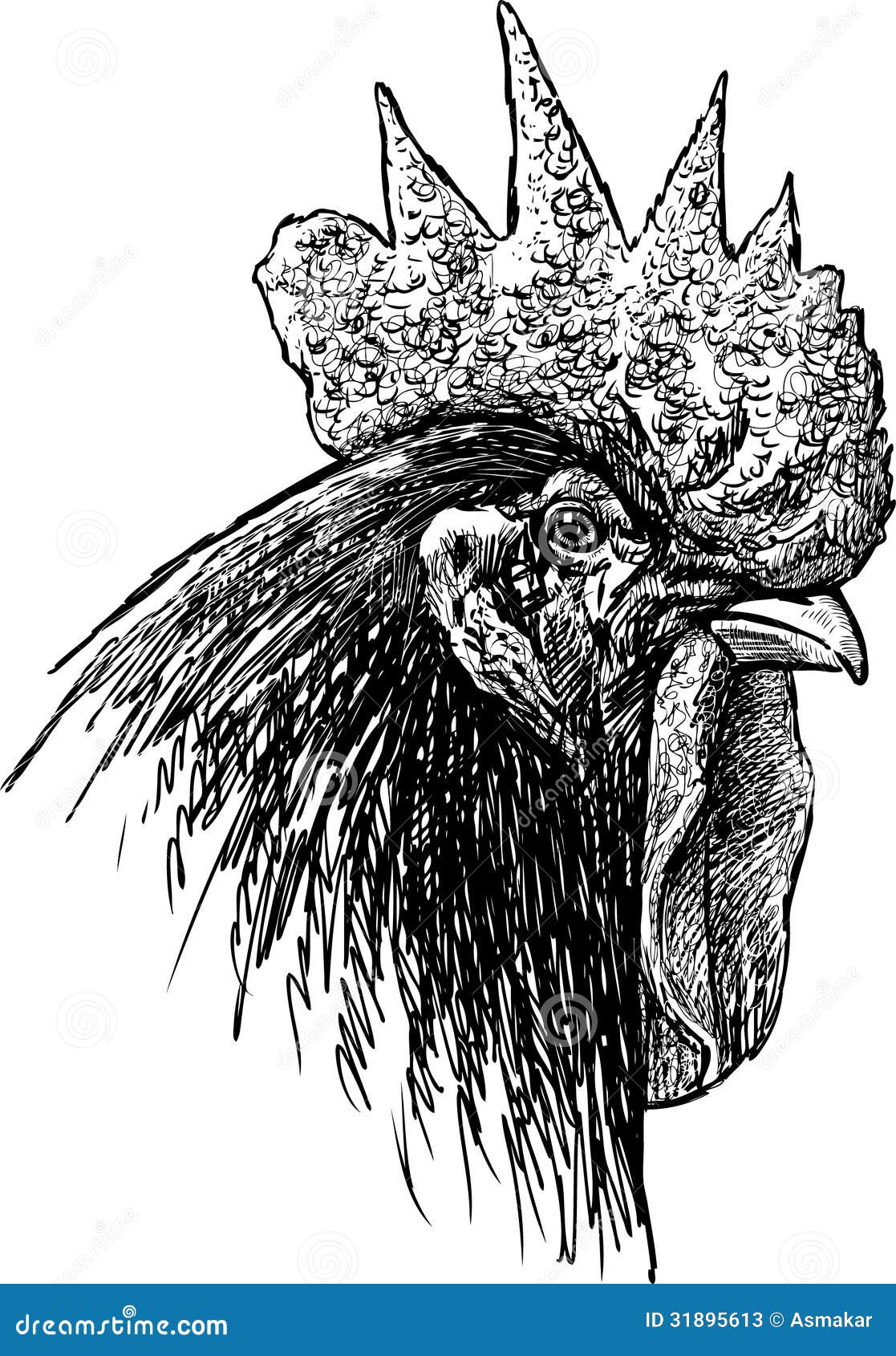 Portrait of a rooster stock vector. Illustration of comb - 31895613