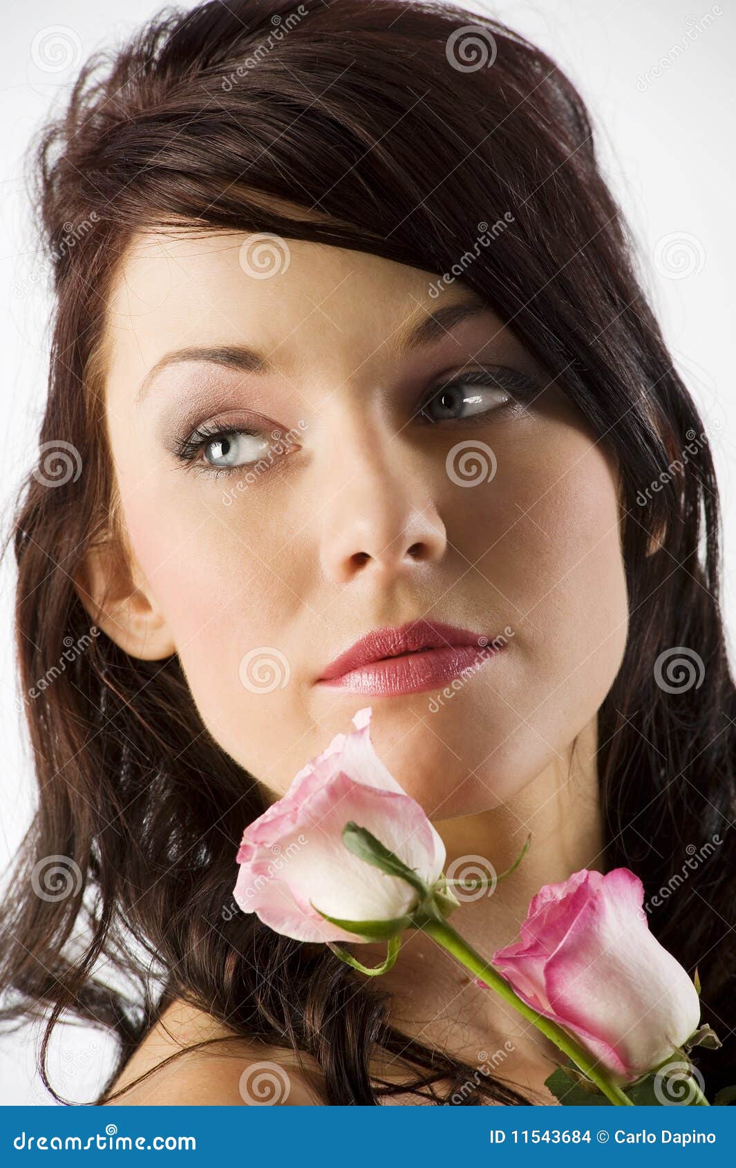 Portrait with rose stock photo. Image of nature, adult - 11543684