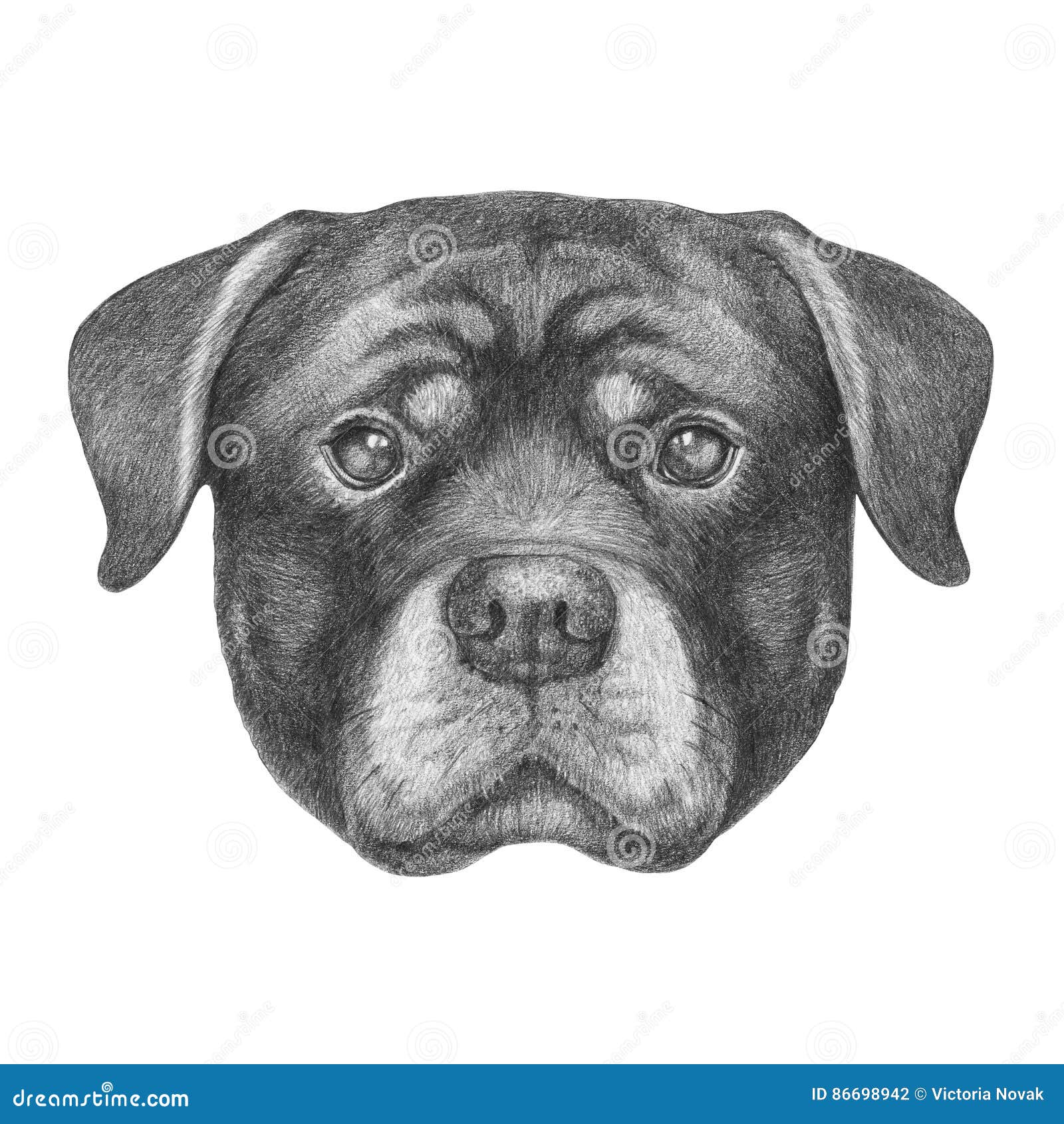 Rottweiler Dog Portrait. Continuous Line. Dog Line Drawing. Vector ...
