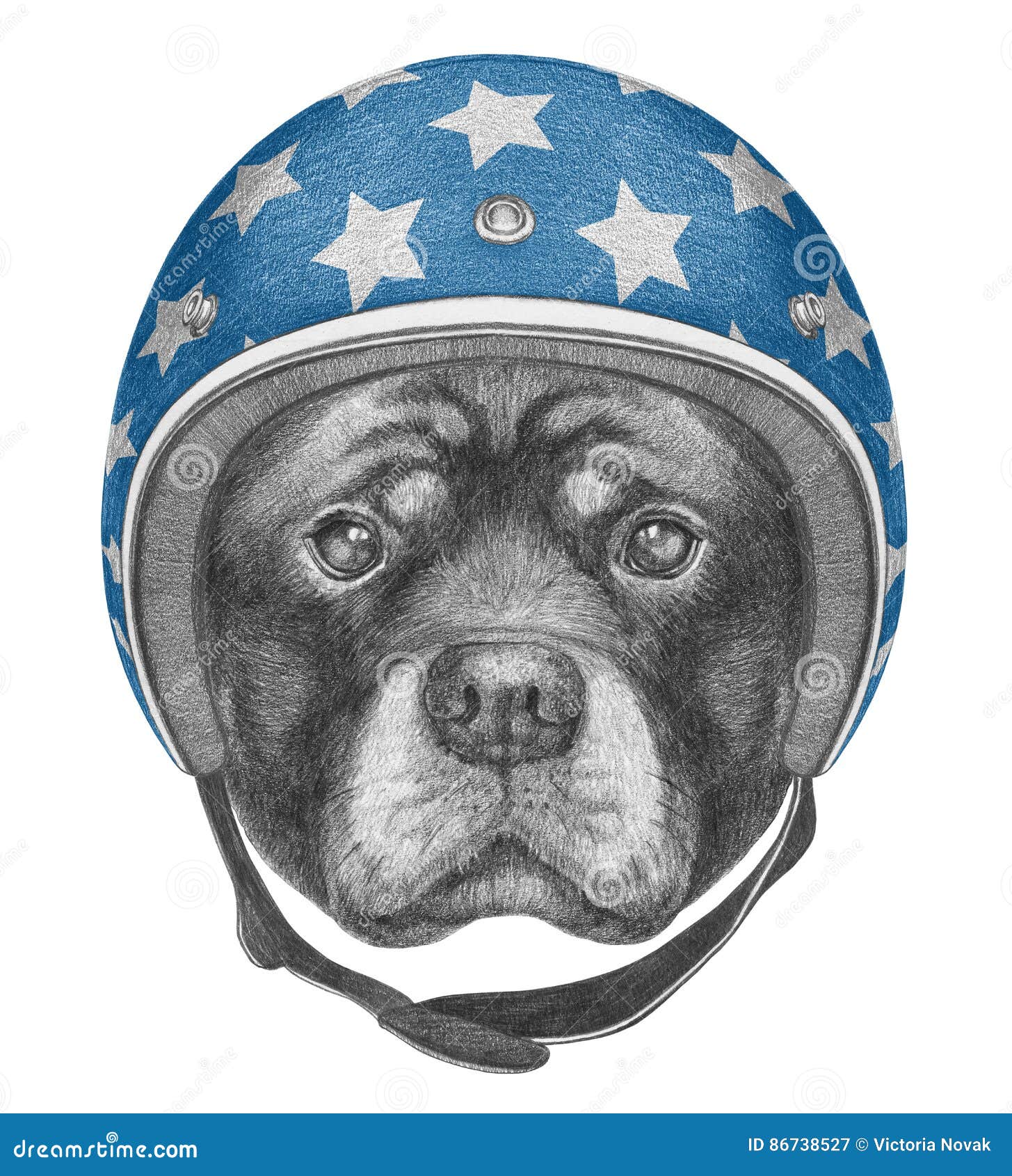 Portrait of Rottweiler with Helmet. Stock Illustration - Illustration ...