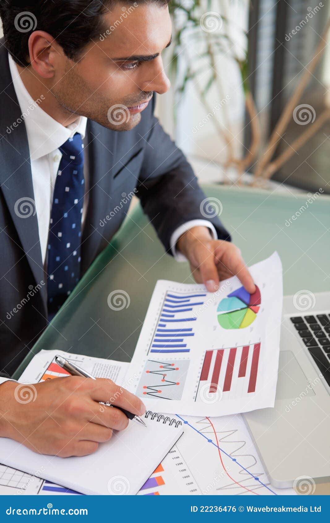 Portrait of a Sales Person Studying Statistics Stock Photo - Image of ...