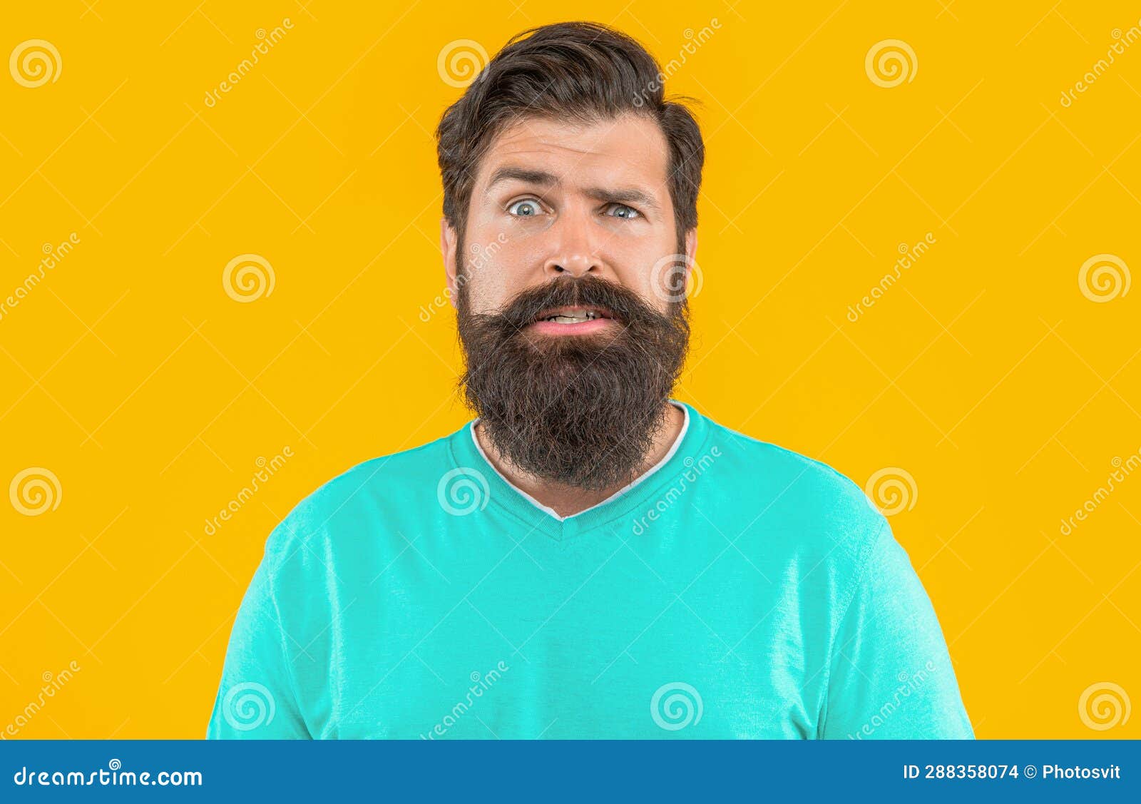 Portrait of Scared Bearded Guy on Background. Portrait of Bearded Guy ...