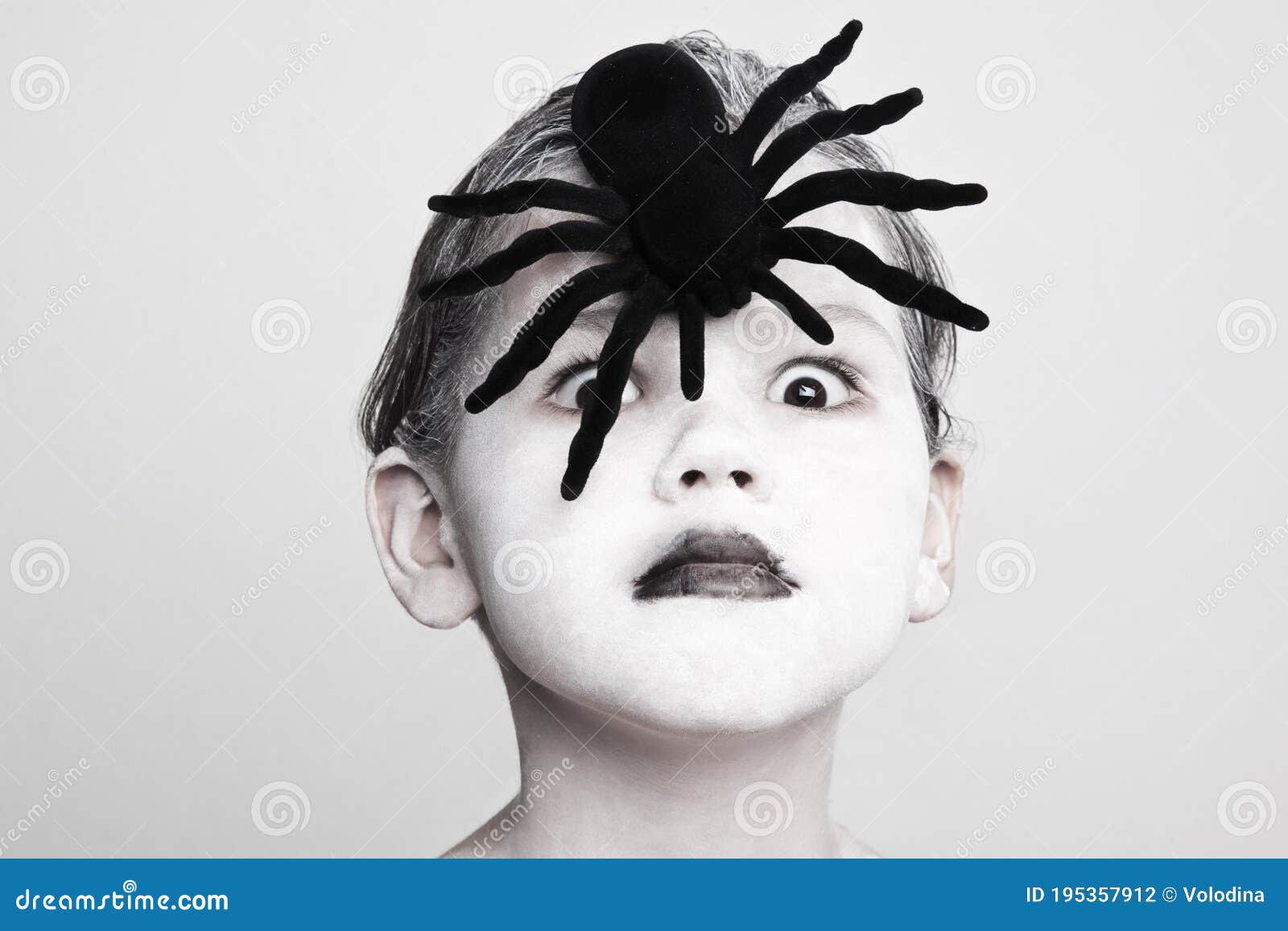 Portrait of the Scary Girl with Spider Stock Photo - Image of pale ...