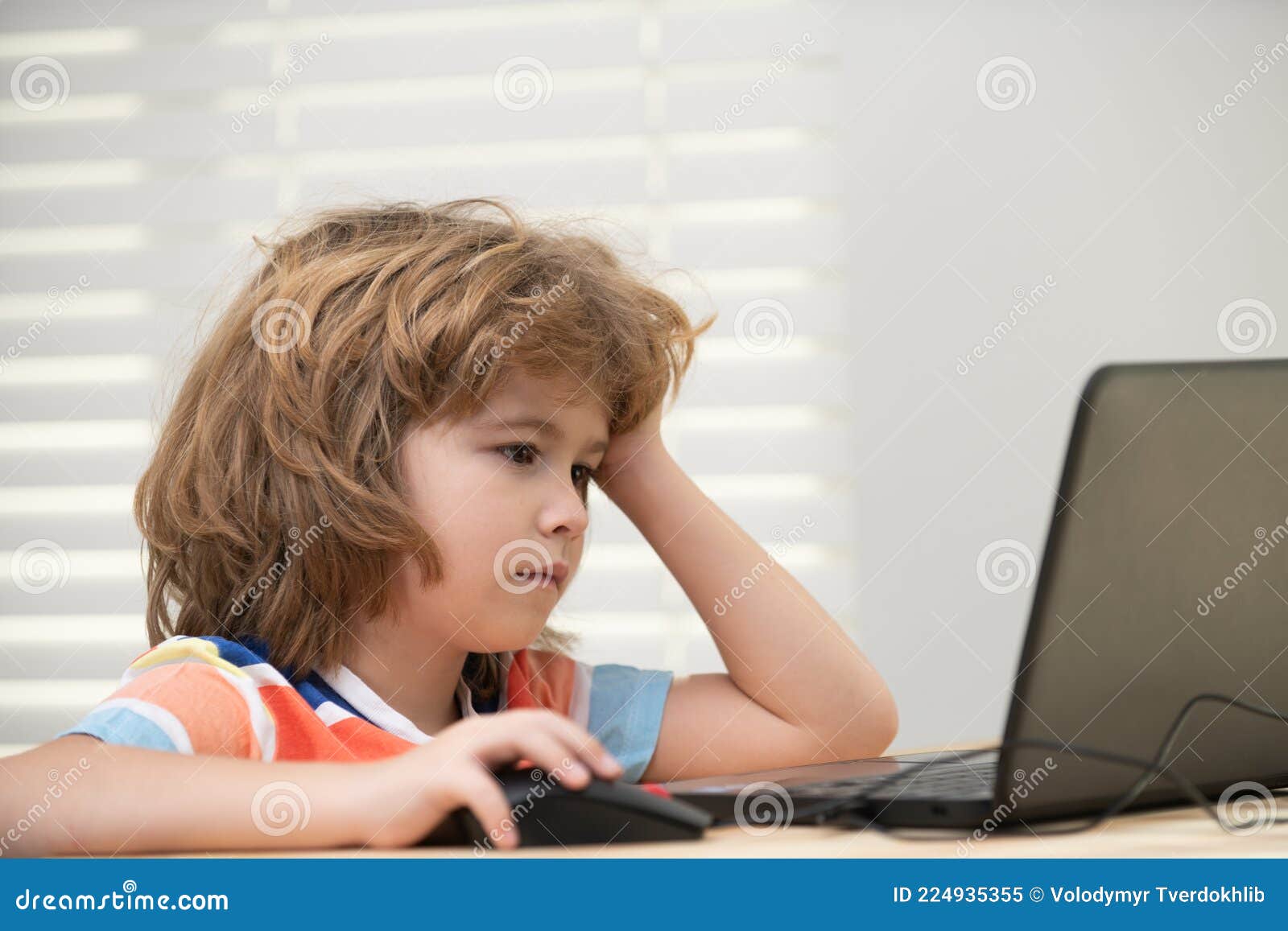 Portrait of School Boy Looking at the Laptop during Lesson. Education ...