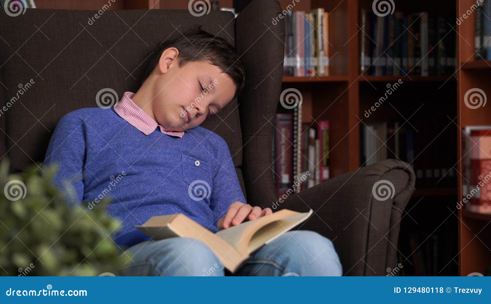 Portrait of Schoolboy Doing Their Homework and Sleeping in a Chair ...