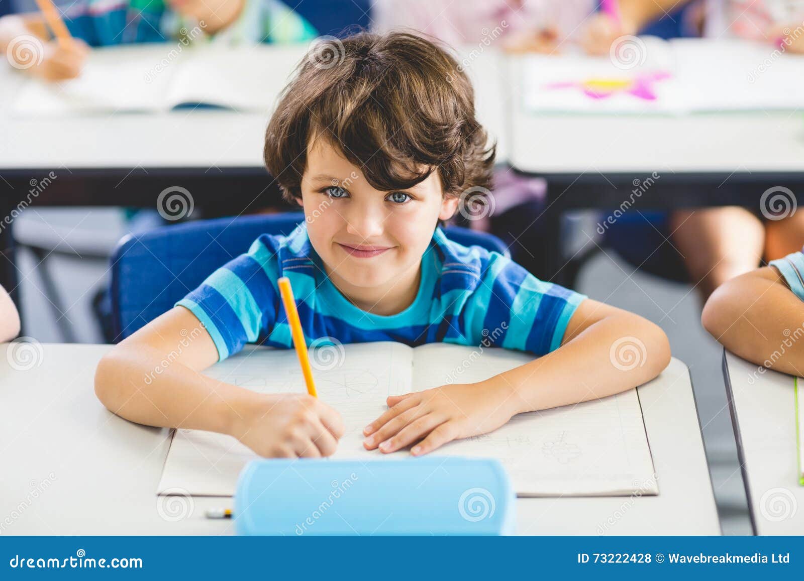 Portrait of Schoolboy Studying in Classroom Stock Photo - Image of ...