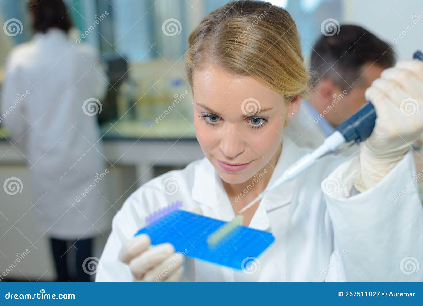 Portrait Scientist Performing Analysis Stock Image - Image of analyzing ...