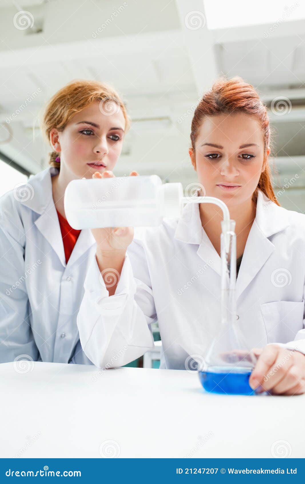 Portrait of Scientists Doing an Experiment Stock Image - Image of ...
