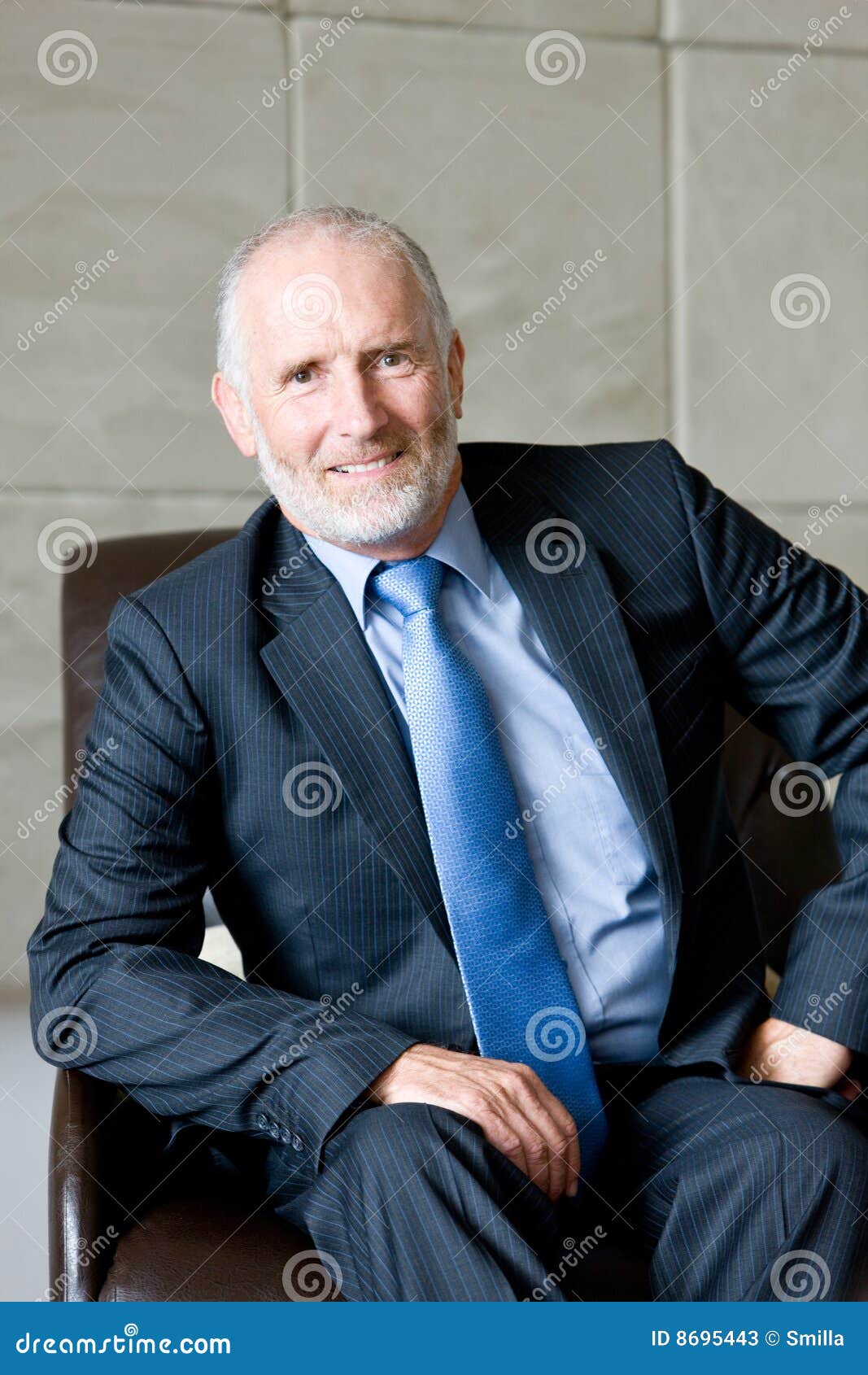 Portrait of Senior Business Man Stock Image - Image of handsome, inside ...