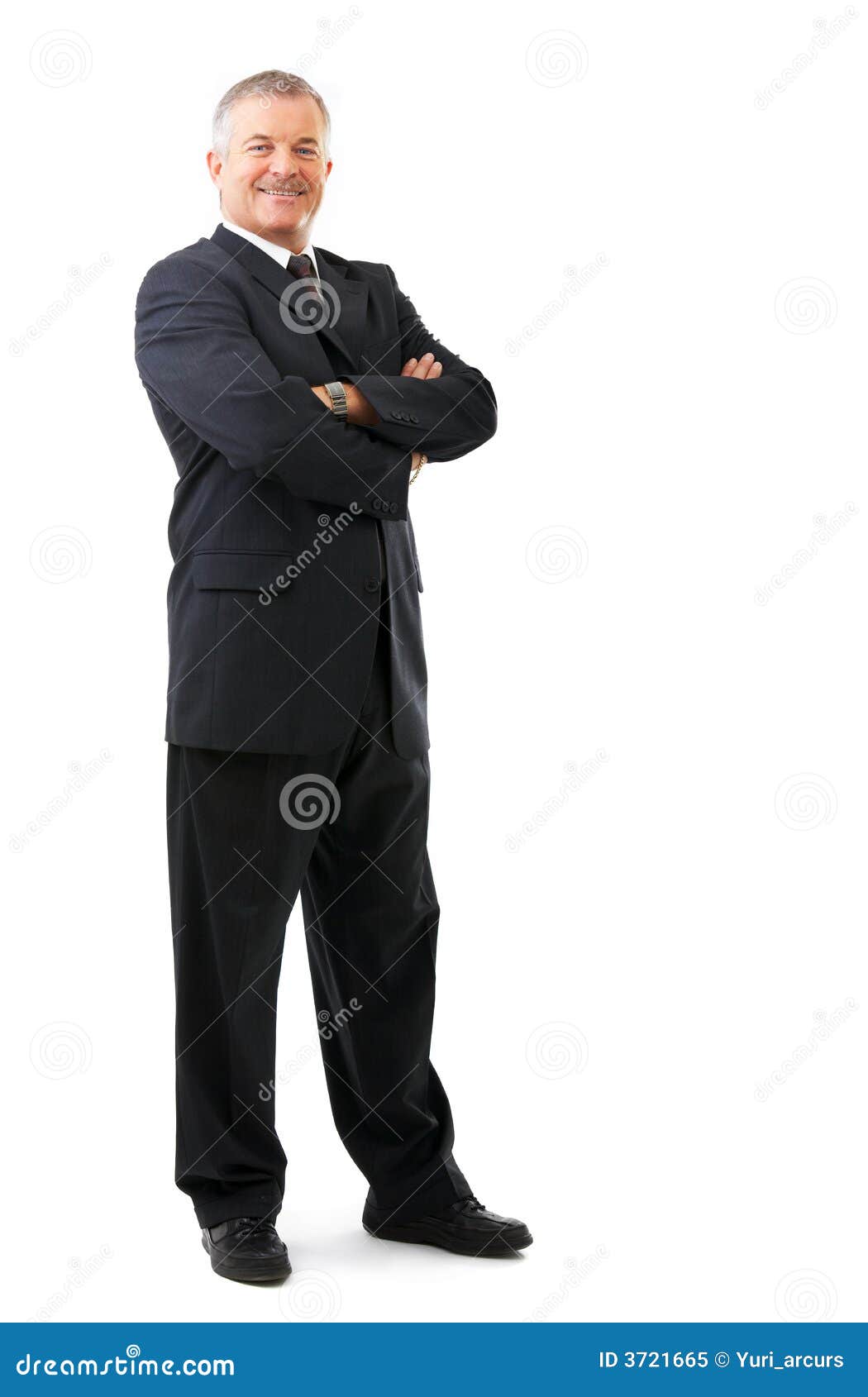 Portrait of a Senior Executive Stock Image - Image of cheerful ...