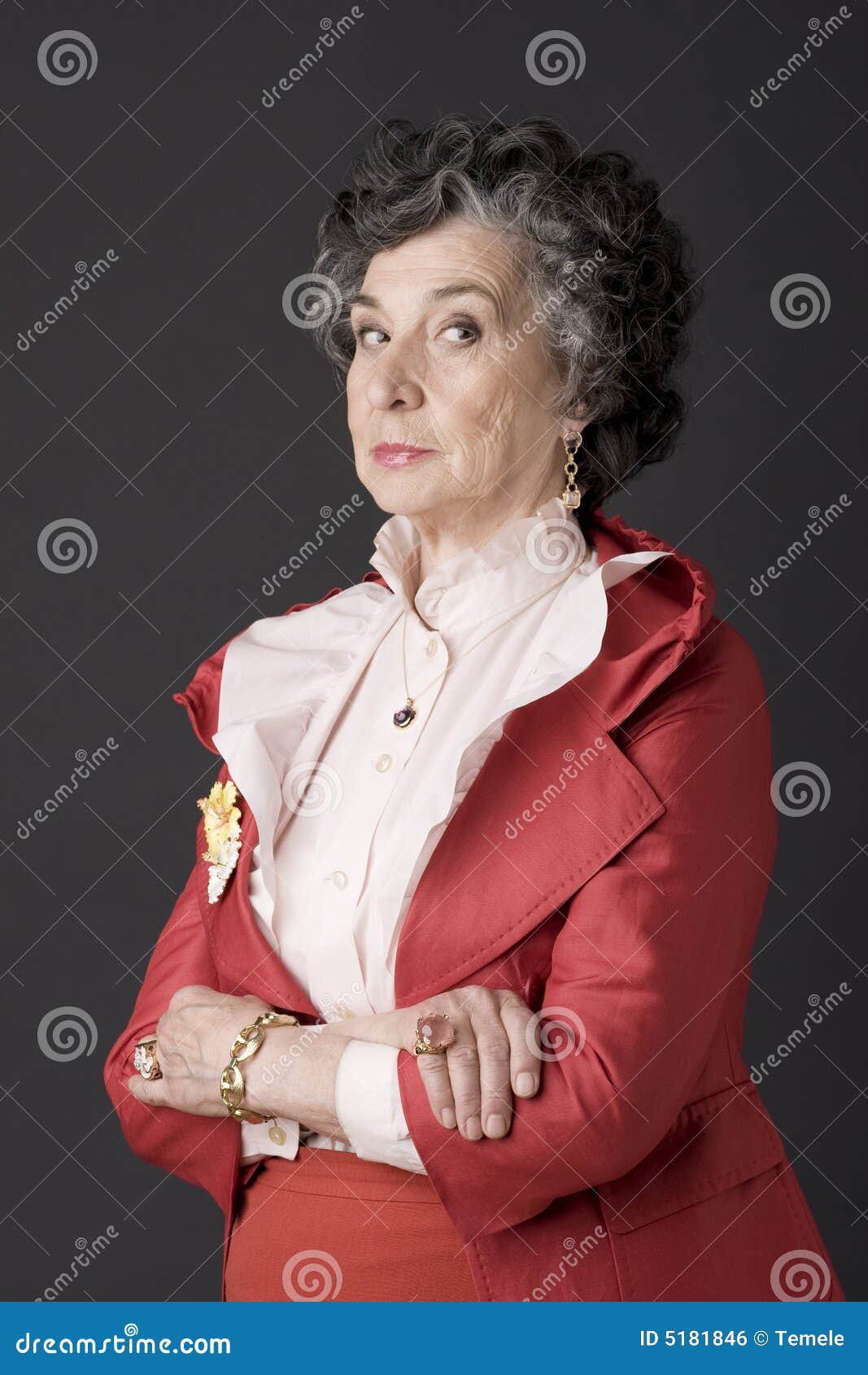 Portrait of a senior lady stock photo. Image of older - 5181846