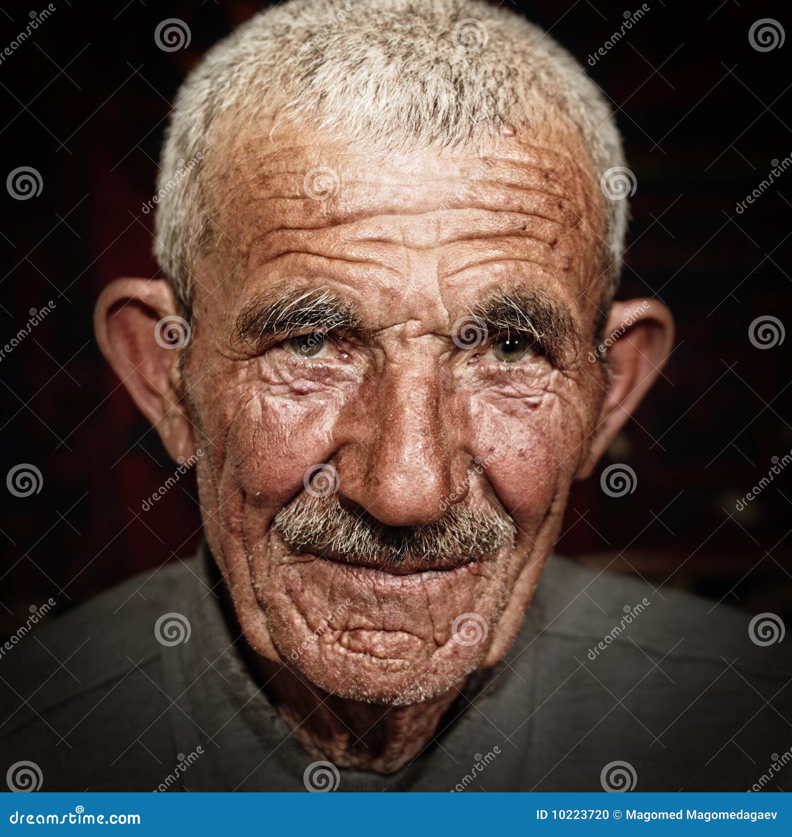 Portrait of senior man stock photo. Image of male, elderly - 10223720