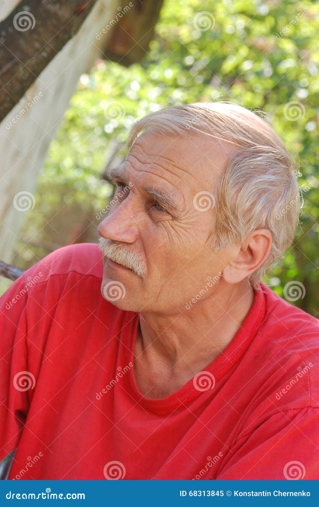 Portrait of a Senior Man in Red. Stock Image - Image of person, hair ...