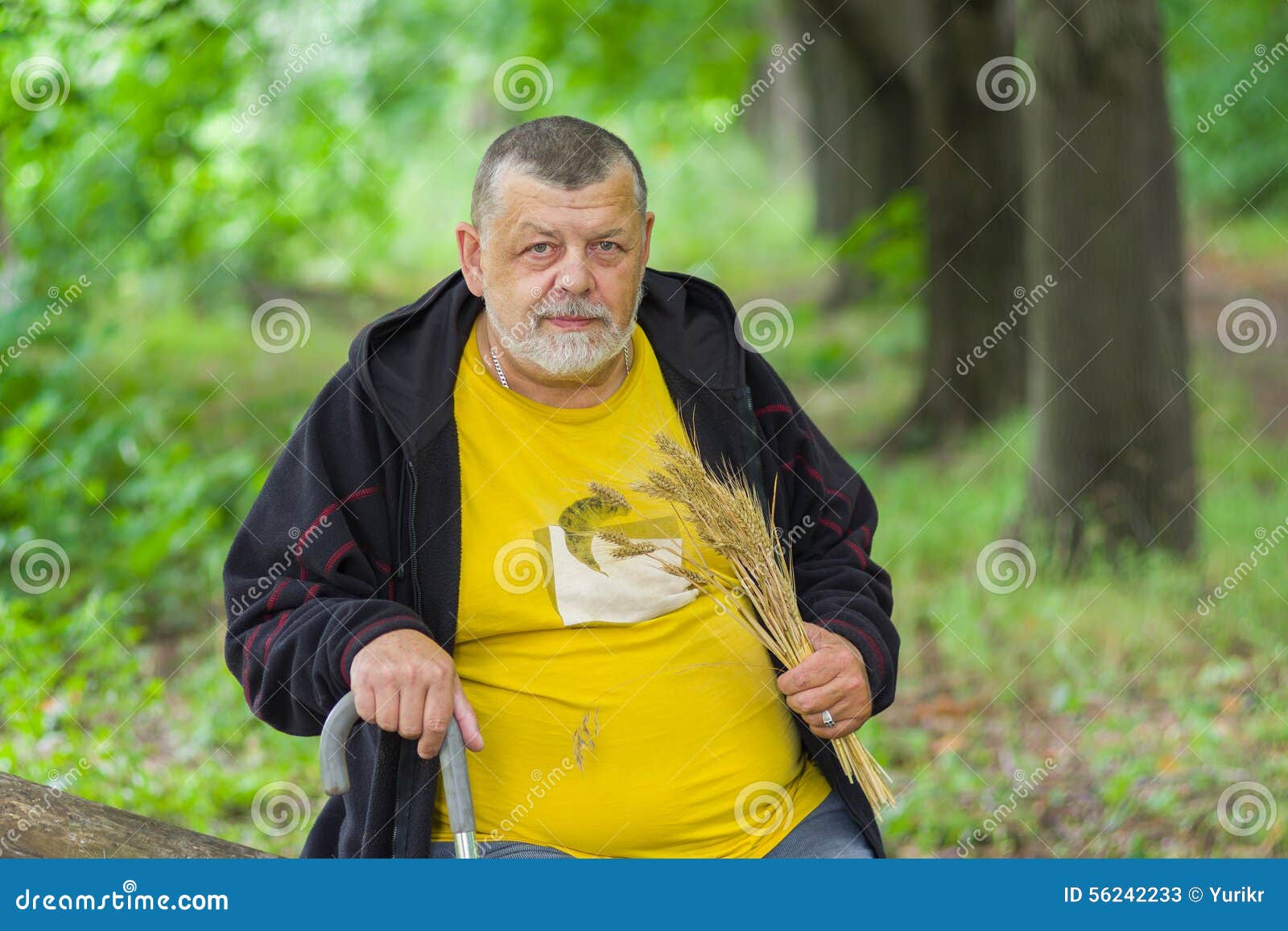Portrait of Senior Man Under Tree Shadow Stock Image - Image of alone ...