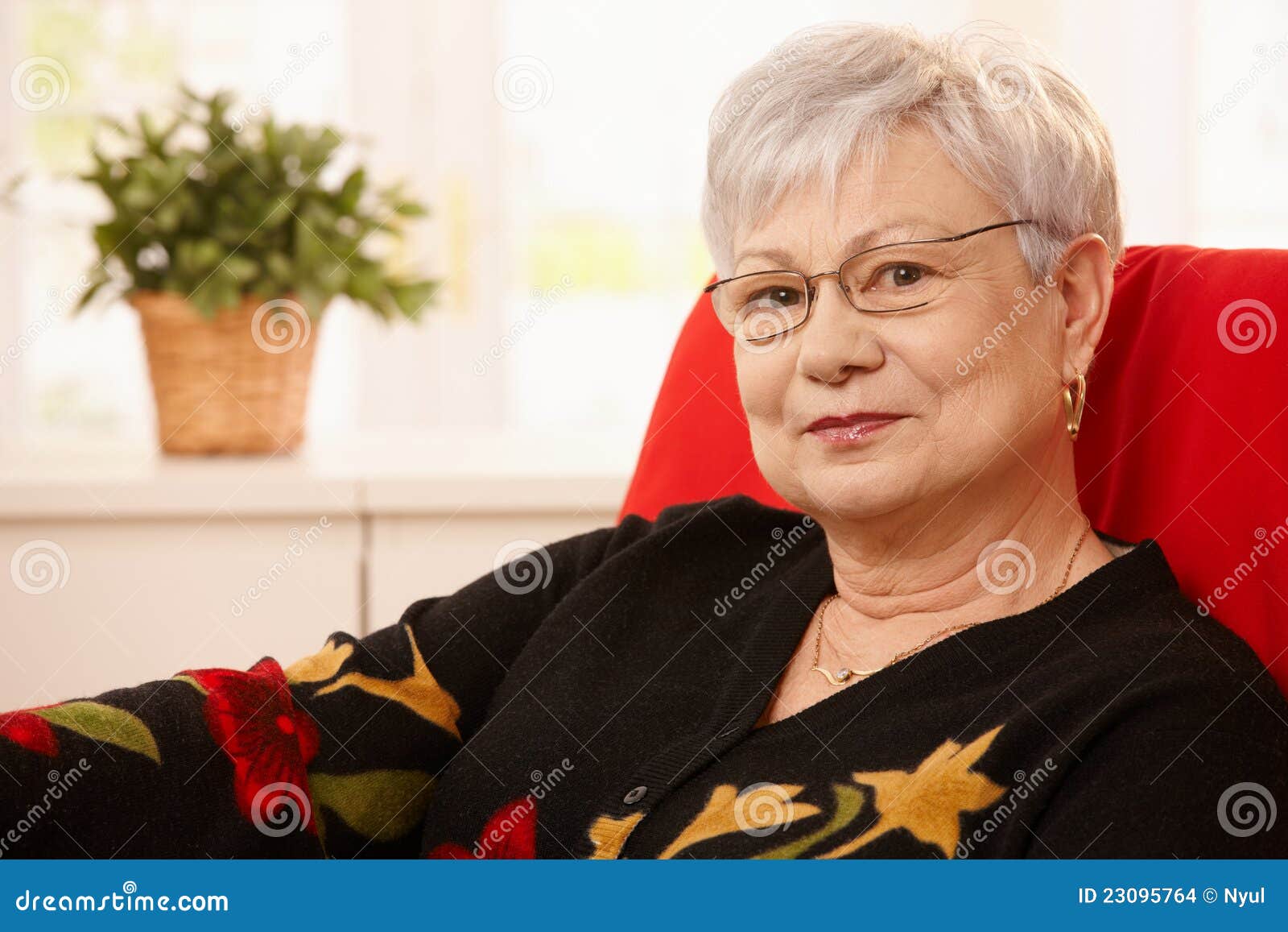 Portrait of senior woman stock photo. Image of european - 23095764