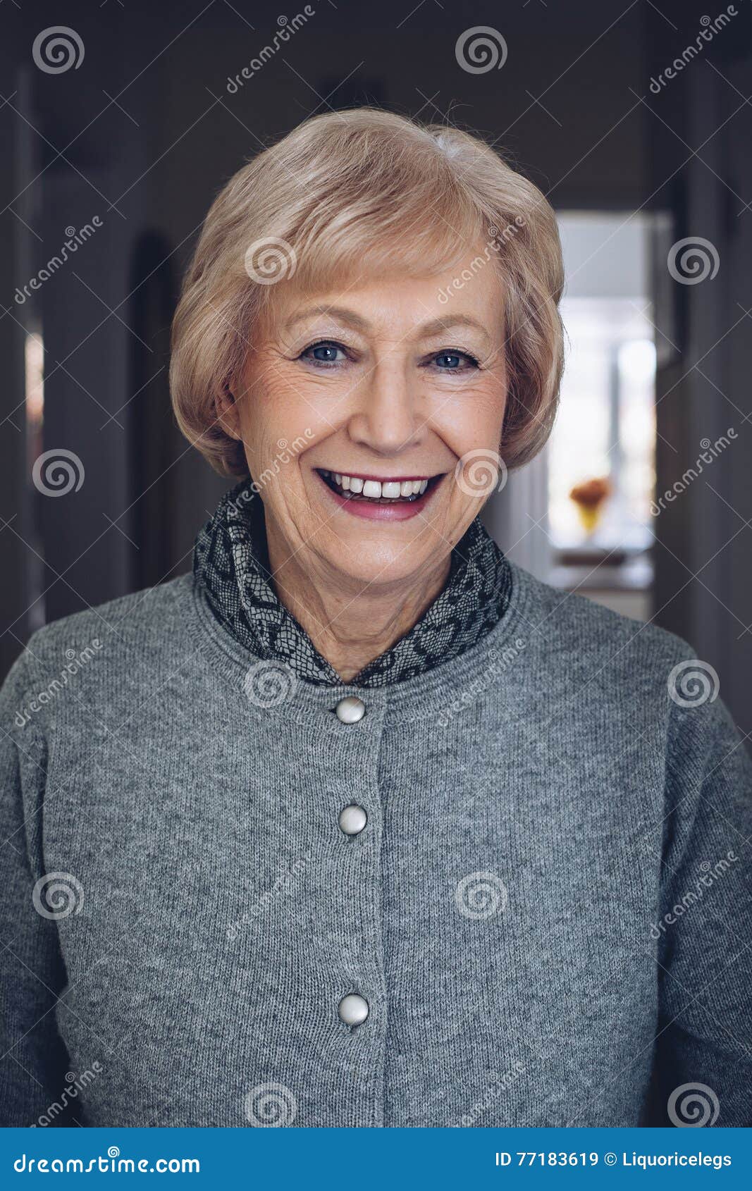 Portrait of a Senior Woman stock image. Image of natural - 77183619