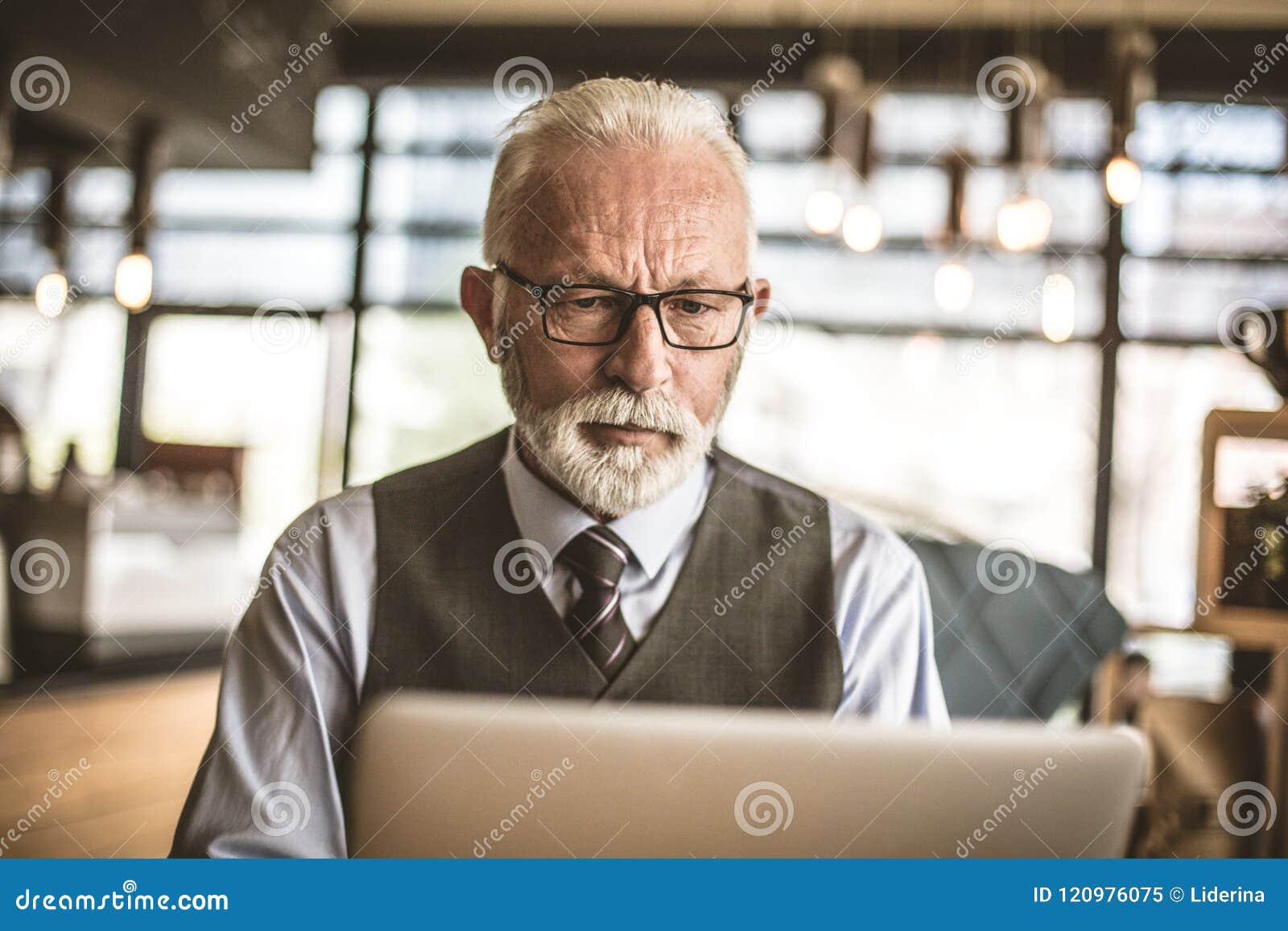 Portrait of Serious Senior Businessman Working on Laptop. Stock Image ... Portrait of Serious Senior Businessman Working on Laptop. Stock Image ...