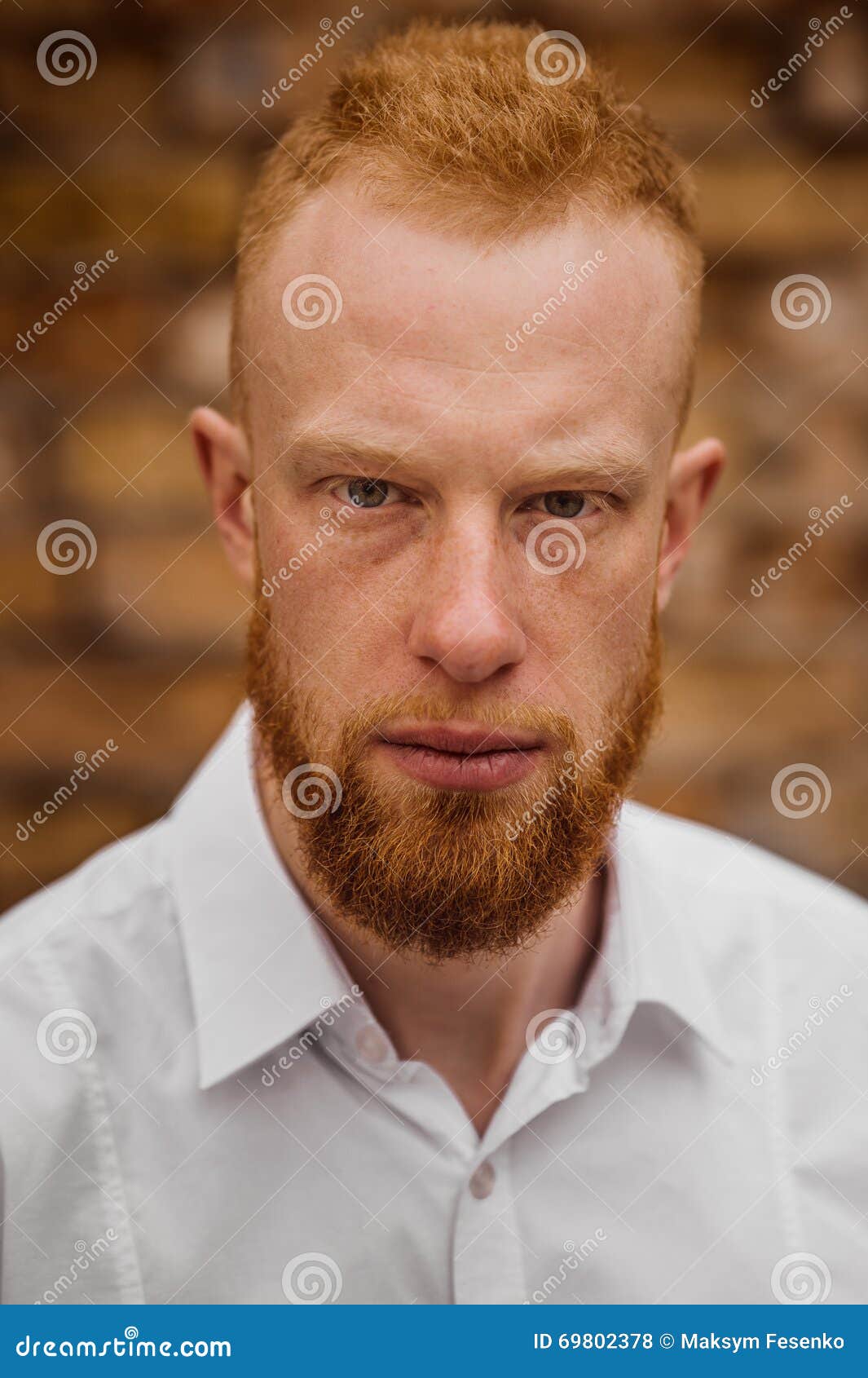 Portrait of Serious Young Red Hair Man with Beard Stock Photo - Image ...