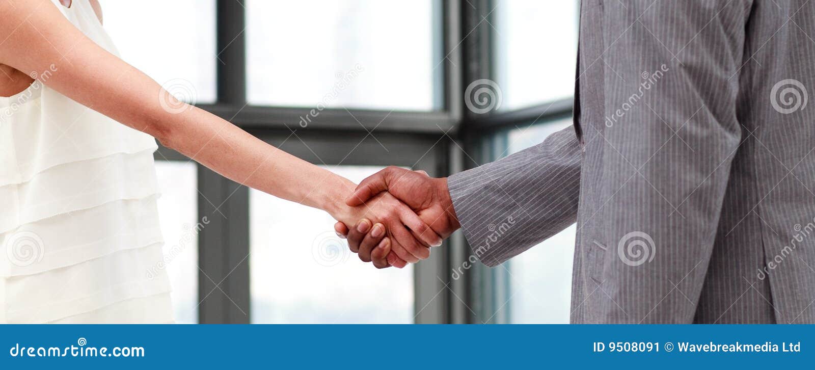 Portrait of a Shaking Hands Stock Image - Image of commerce, hand: 9508091