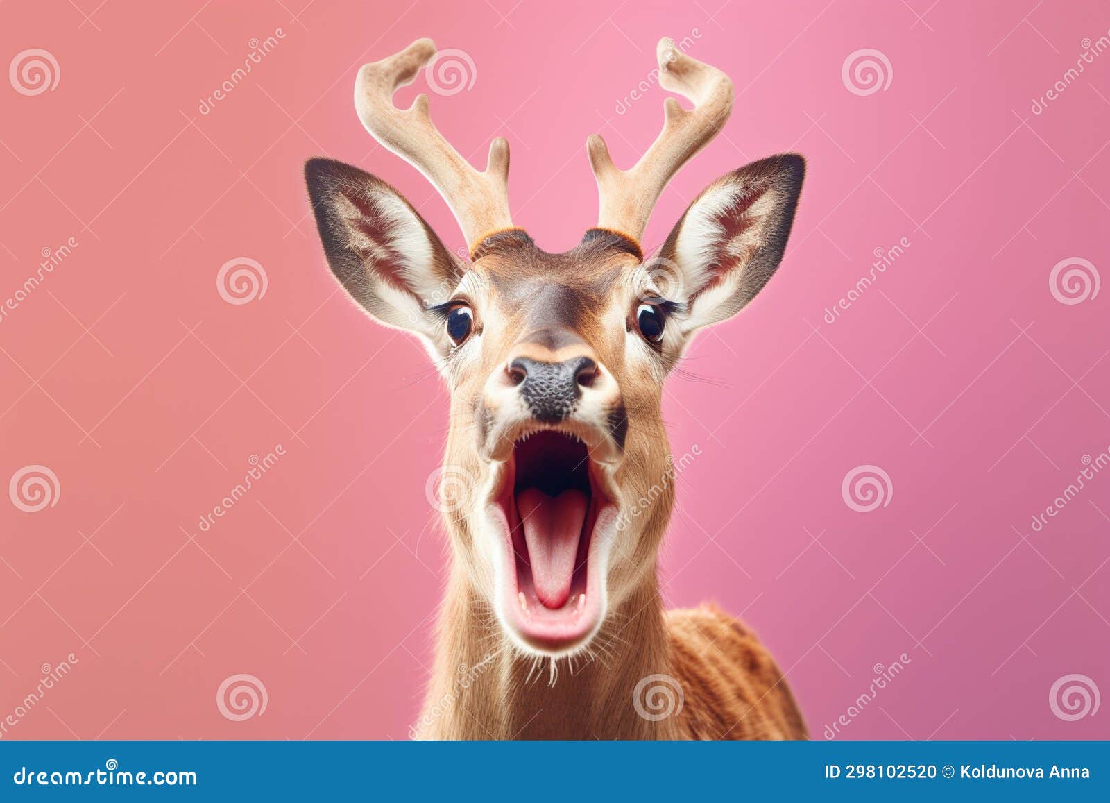 Shocked Deer with Surprised Eyes, Concept of Startling Expression Stock ...
