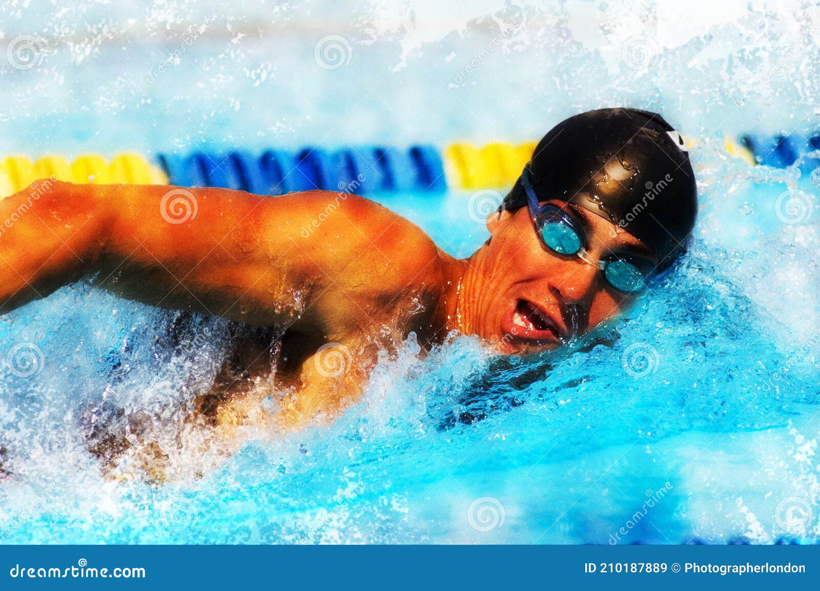 Portrait Shot of Competitive Olympic Swimmer Stock Image - Image of ...
