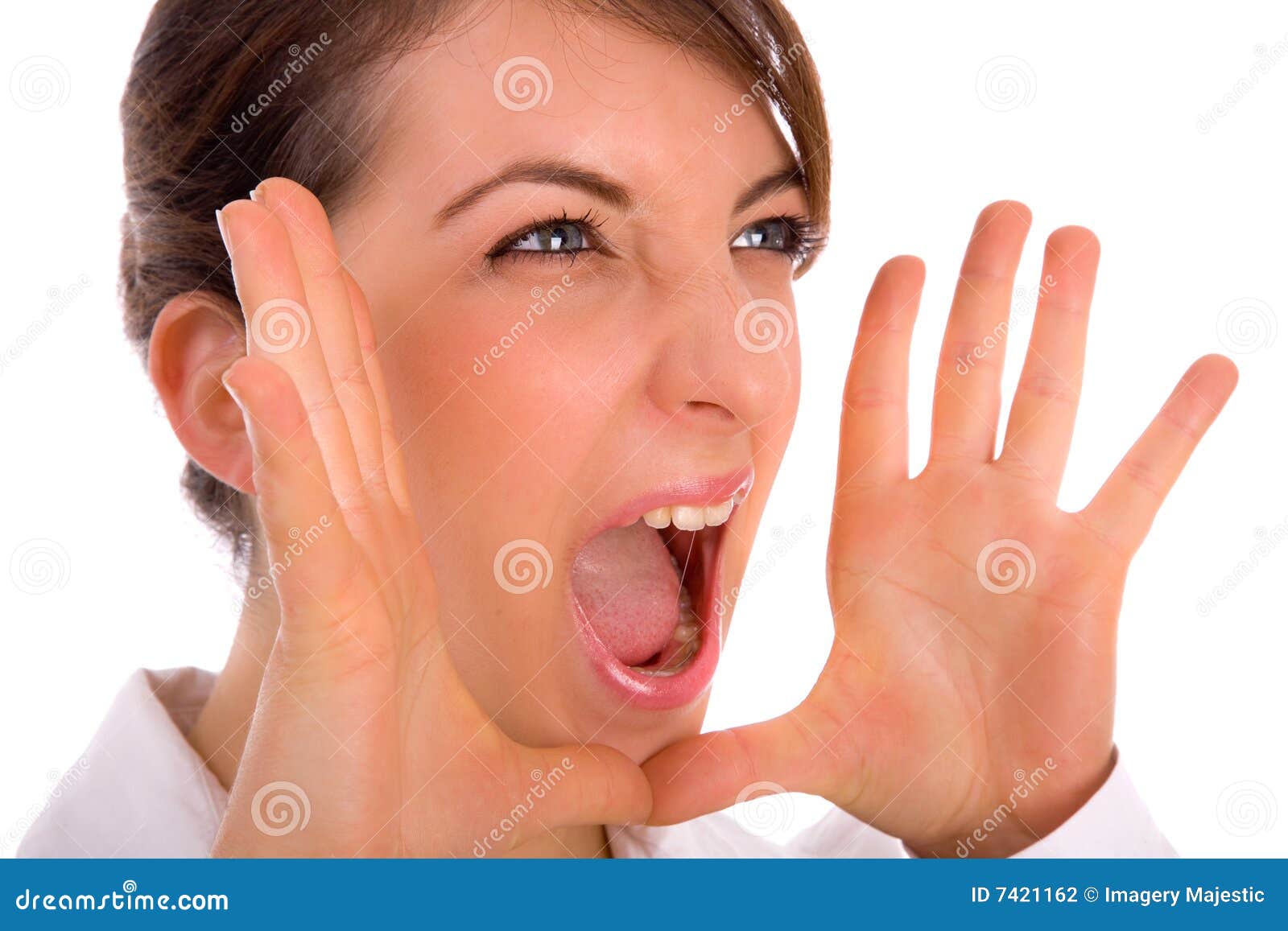 Portrait Of Shouting Professional Stock Photo - Image of career ...
