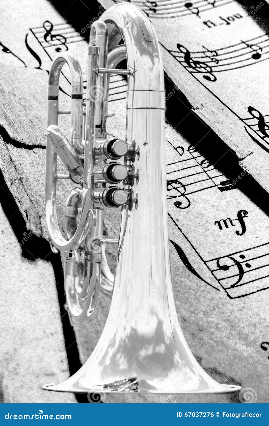 Portrait of a Silver Baritone Stock Photo - Image of band, marching ...