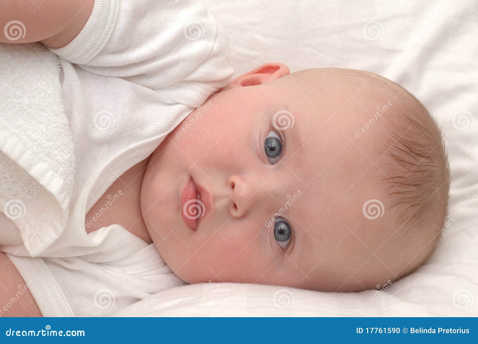 Portrait Of A Six Month Old Baby Stock Photo - Image of perfect, skin ...
