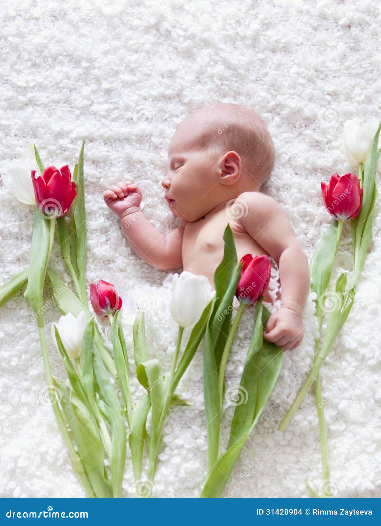 Portrait of Sleeping Newborn Baby Stock Photo - Image of hands ...