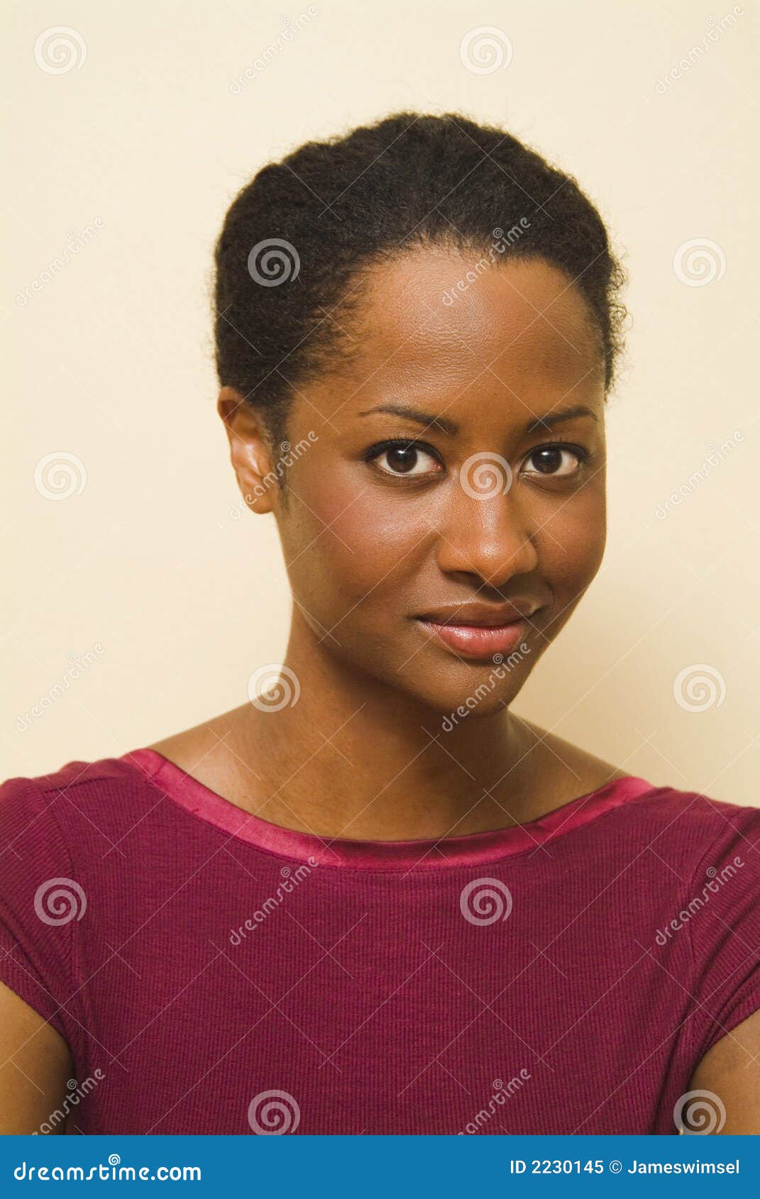 Portrait- Slight Smile stock image. Image of woman, beautiful - 2230145