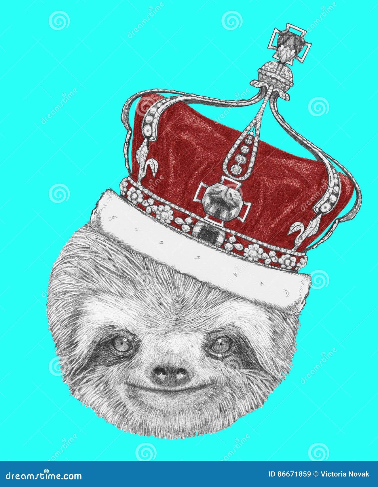 Portrait of Sloth with Crown. Stock Illustration - Illustration of ...