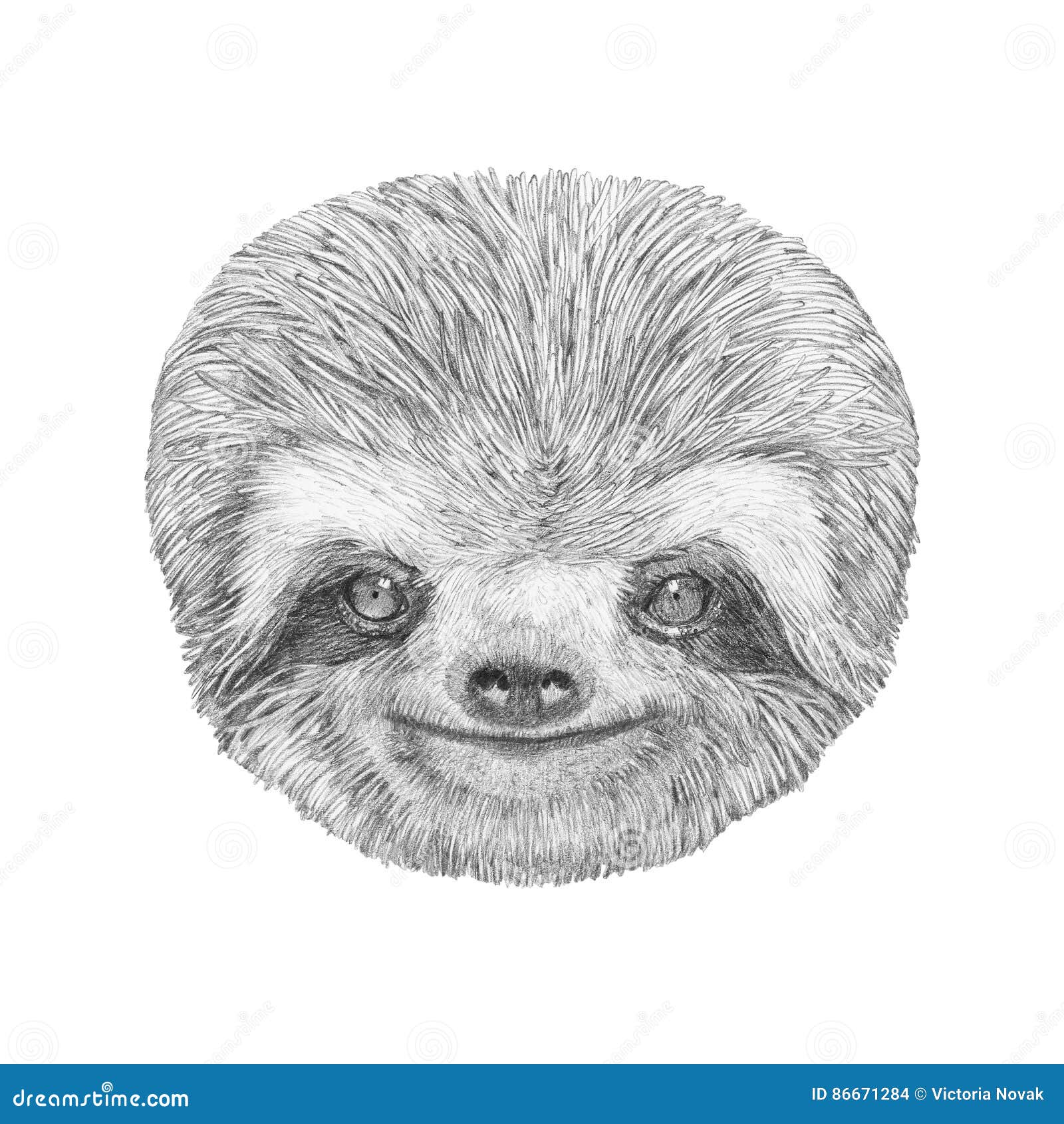 Portrait of Sloth. stock illustration. Illustration of lovely - 86671284