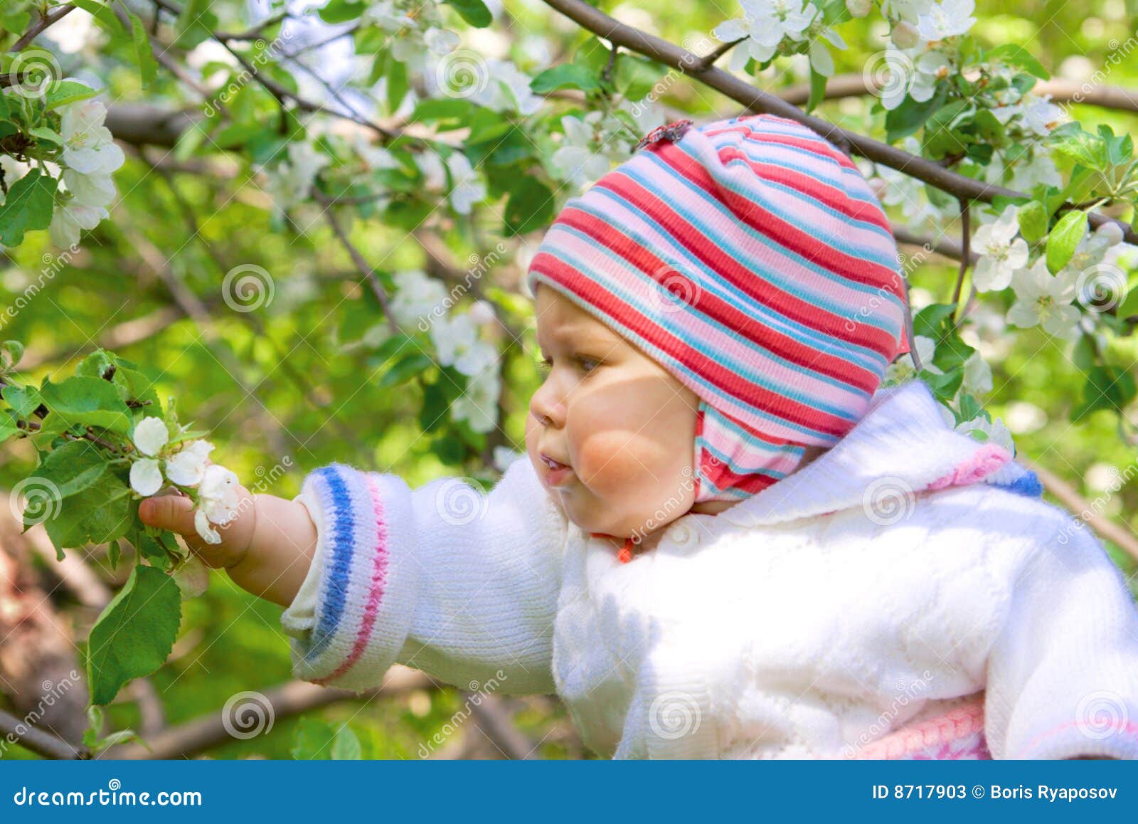 Portrait of Small Baby in Spring Garden Stock Image - Image of portrait ...