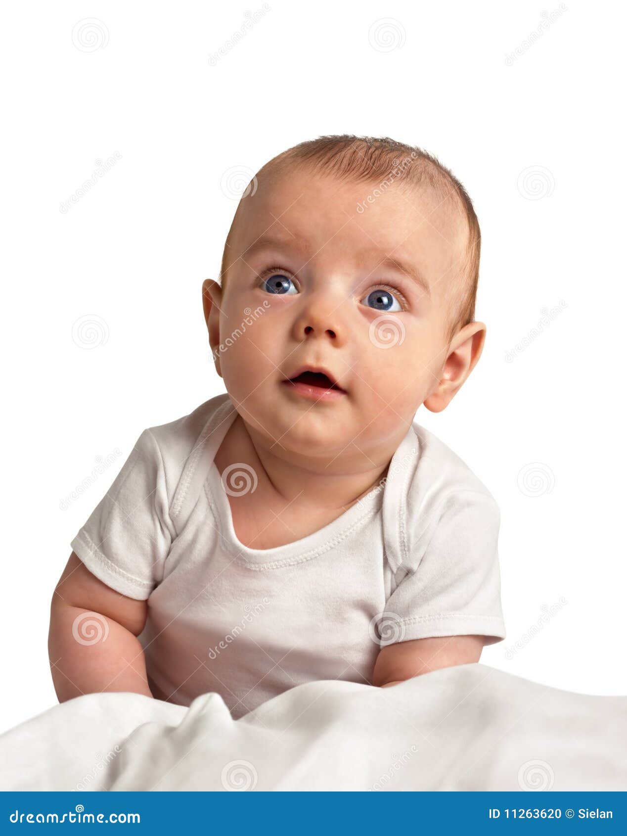 Portrait of a small boy stock photo. Image of happiness - 11263620