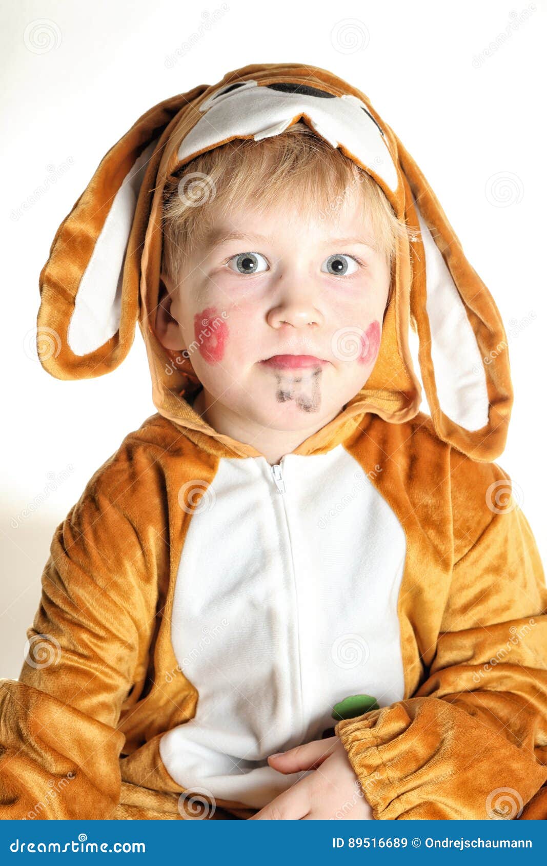 Portrait of the Small Boy Bunny with Droopy Ears Stock Image - Image of ...