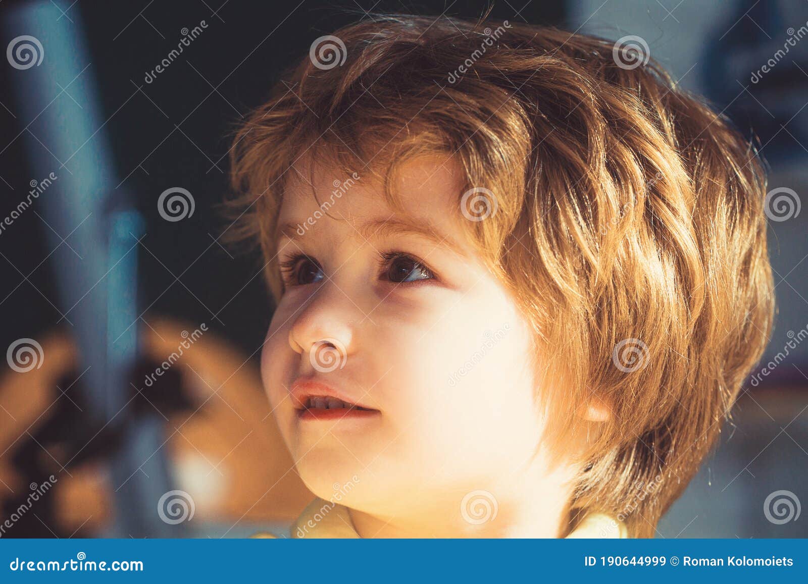 Portrait of Smart Lady Drawing with Pencils at Lesson. Stock Image ...