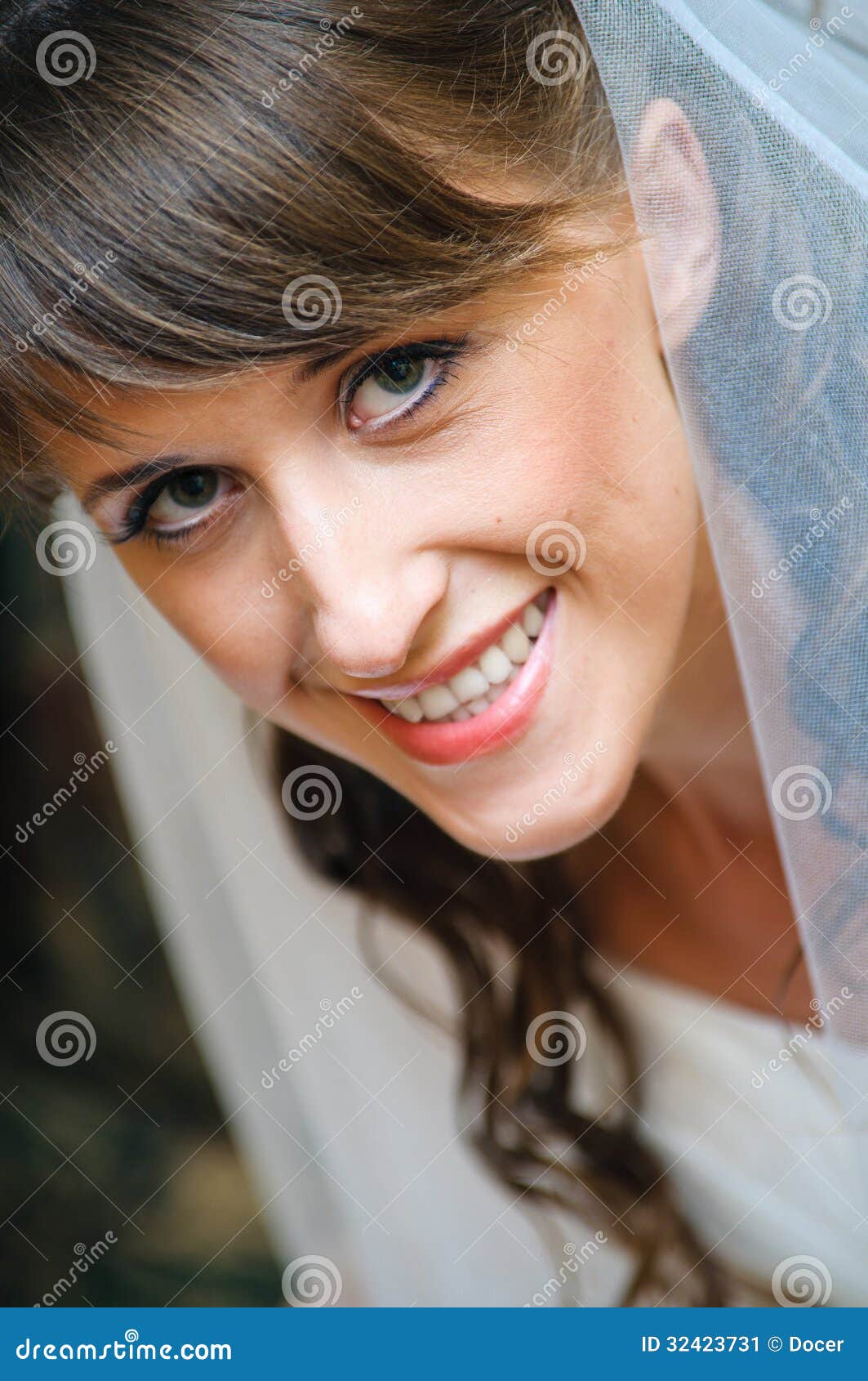 Portrait of Smile Beautiful Bride. Close-up Face Stock Image - Image of ...