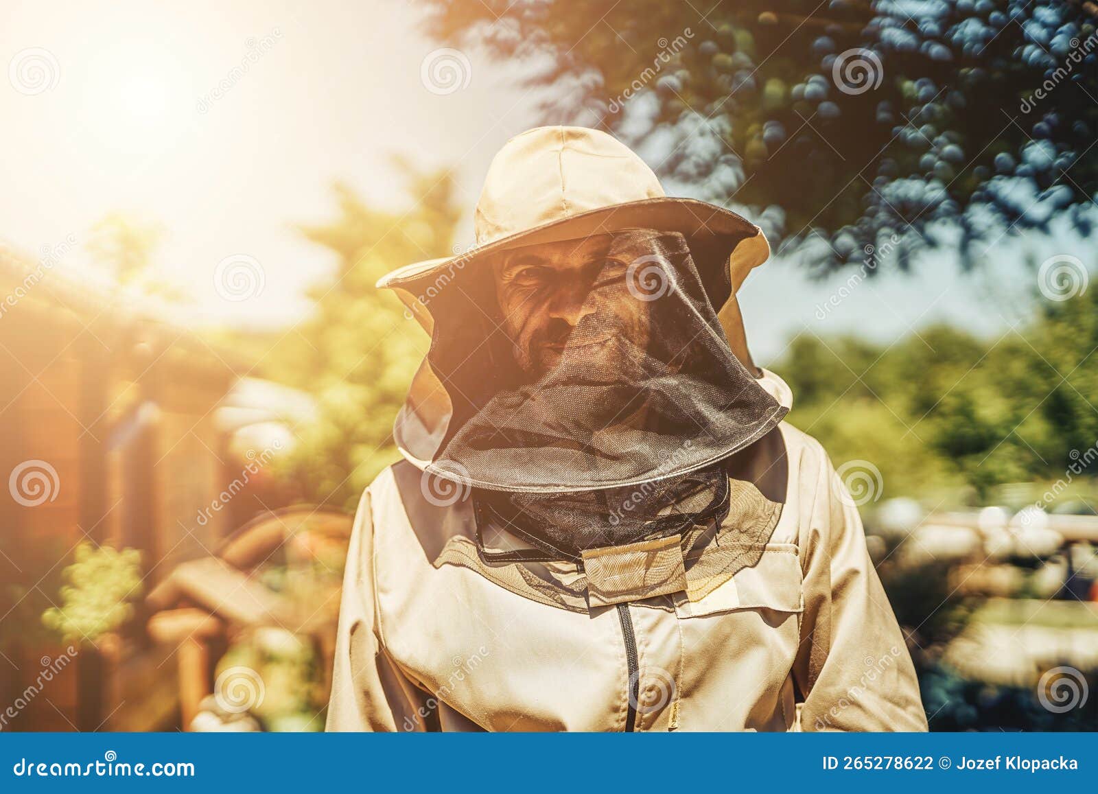 Portrait of a Smiling Beekeeper. Stock Photo - Image of hand, colony ...