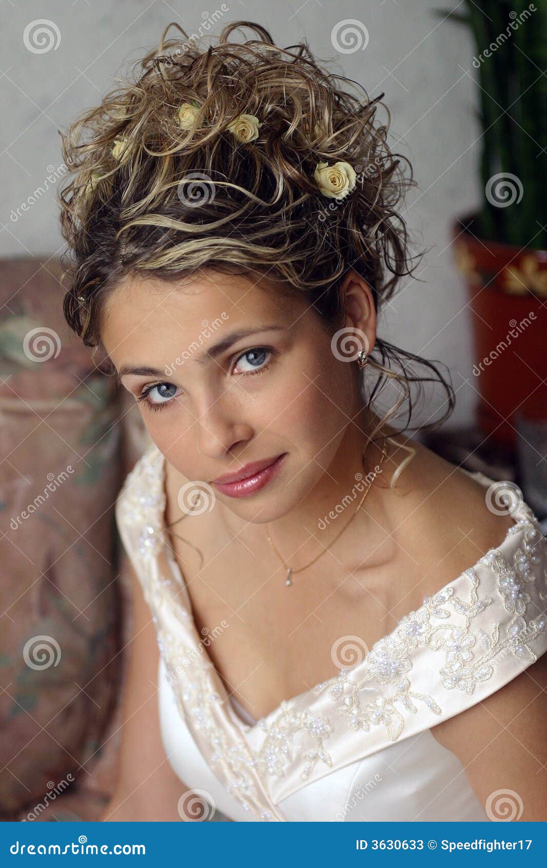 Portrait of a Smiling Bride Stock Image - Image of beautiful, woman ...