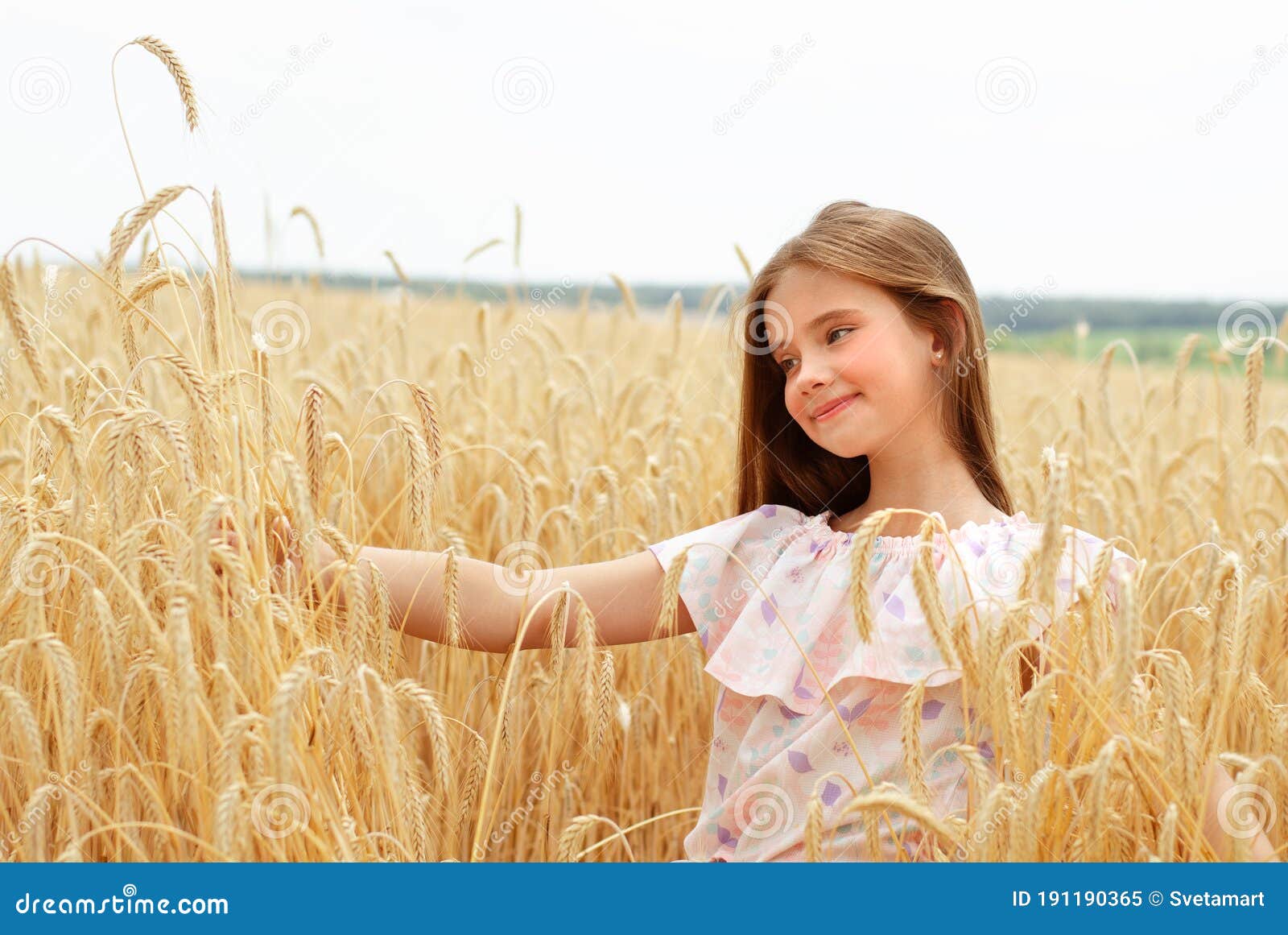 Portrait of Smiling Cute Little Girl Child on Field of Wheat Stock ... Portrait of Smiling Cute Little Girl Child on Field of Wheat Stock ...