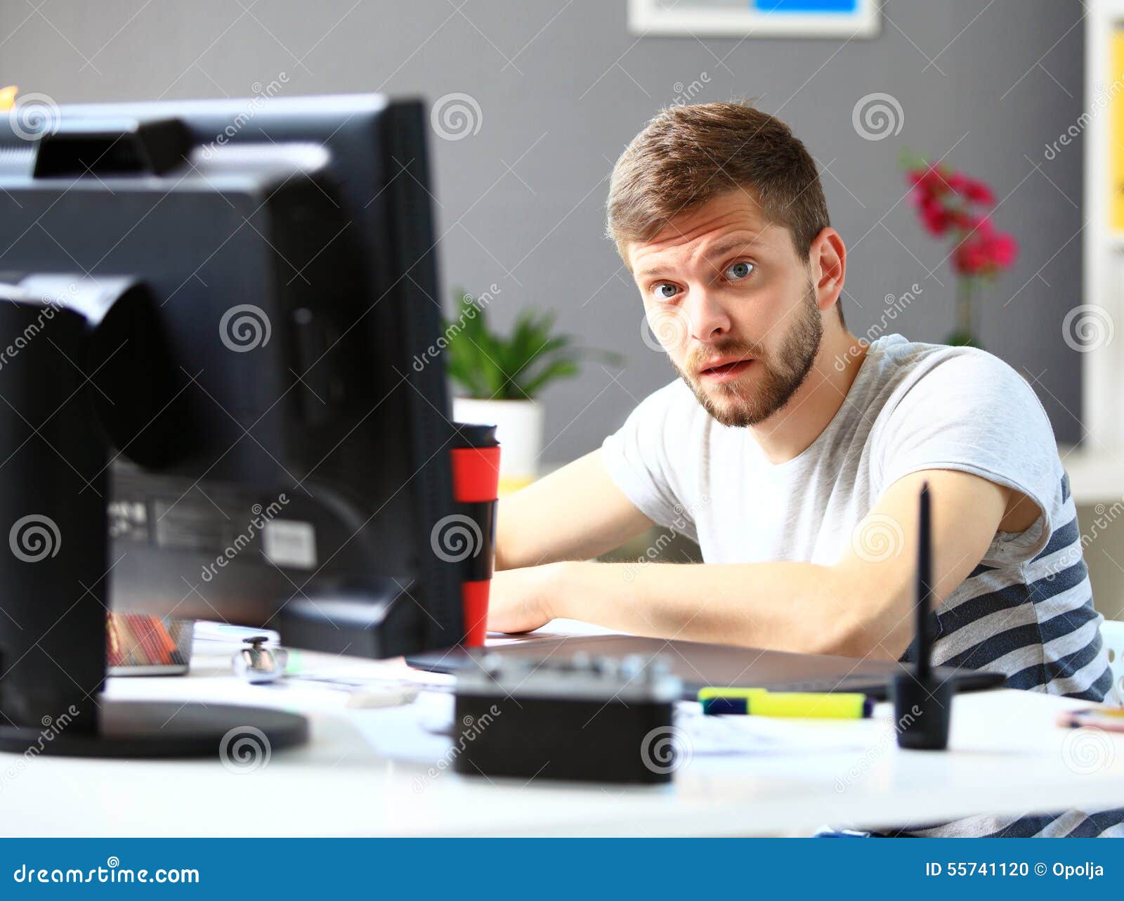 Portrait of Smiling Male Photo Editor Using Computer Stock Photo ...